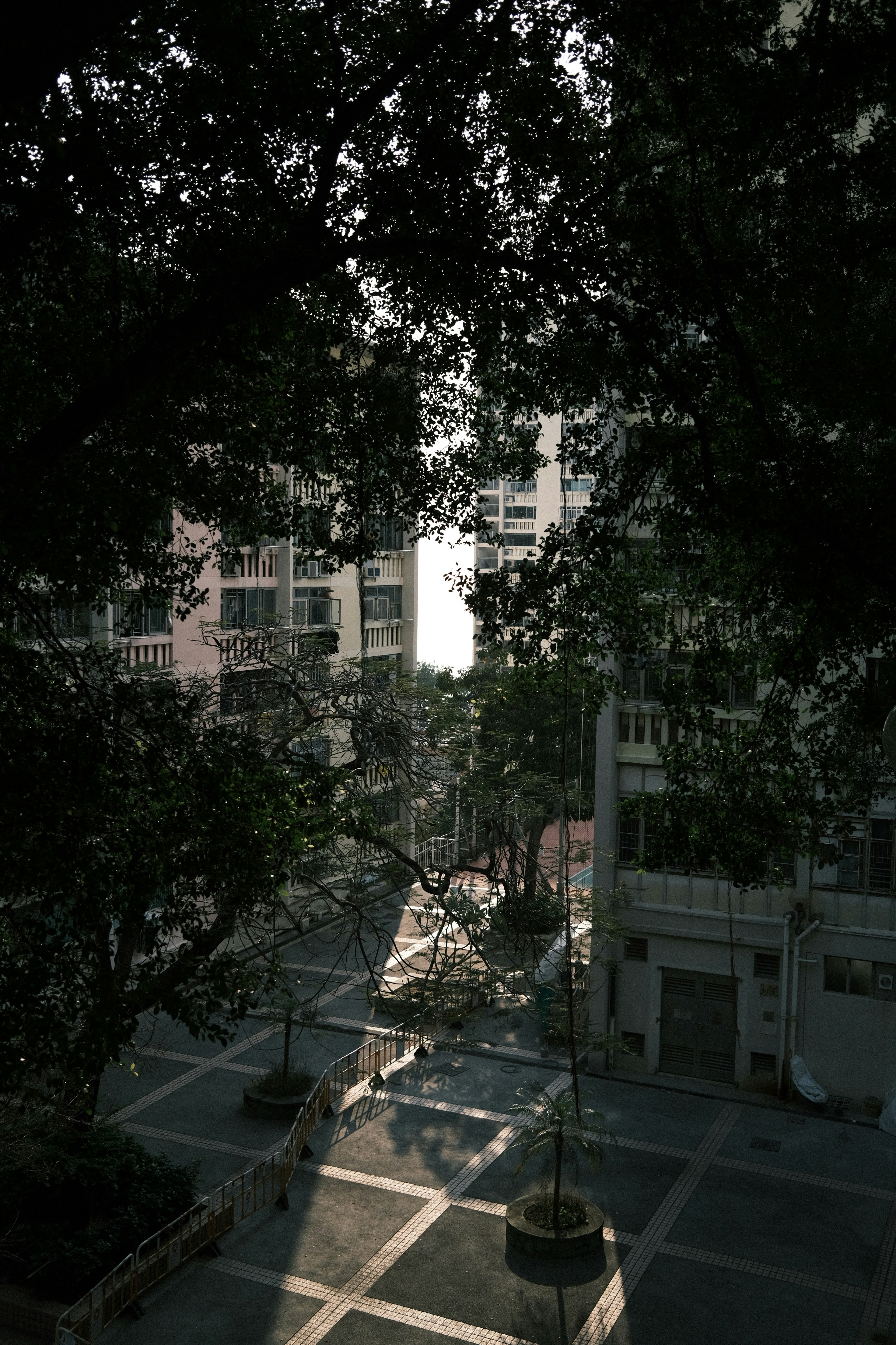 Photo by Beaumont Yun with Fujifilm X100V