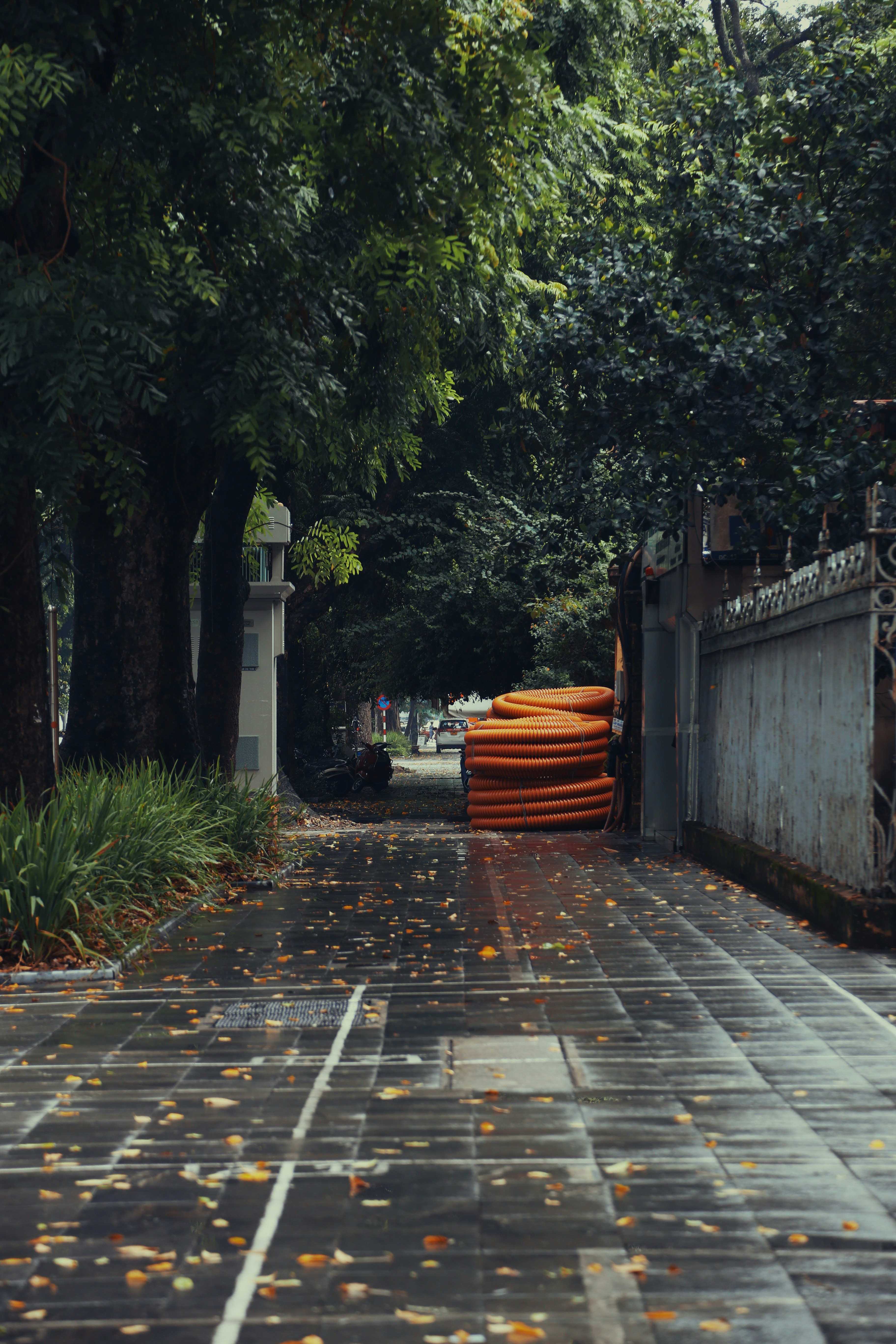 Orange Coils at the End of a Rain-Washed Alleyway