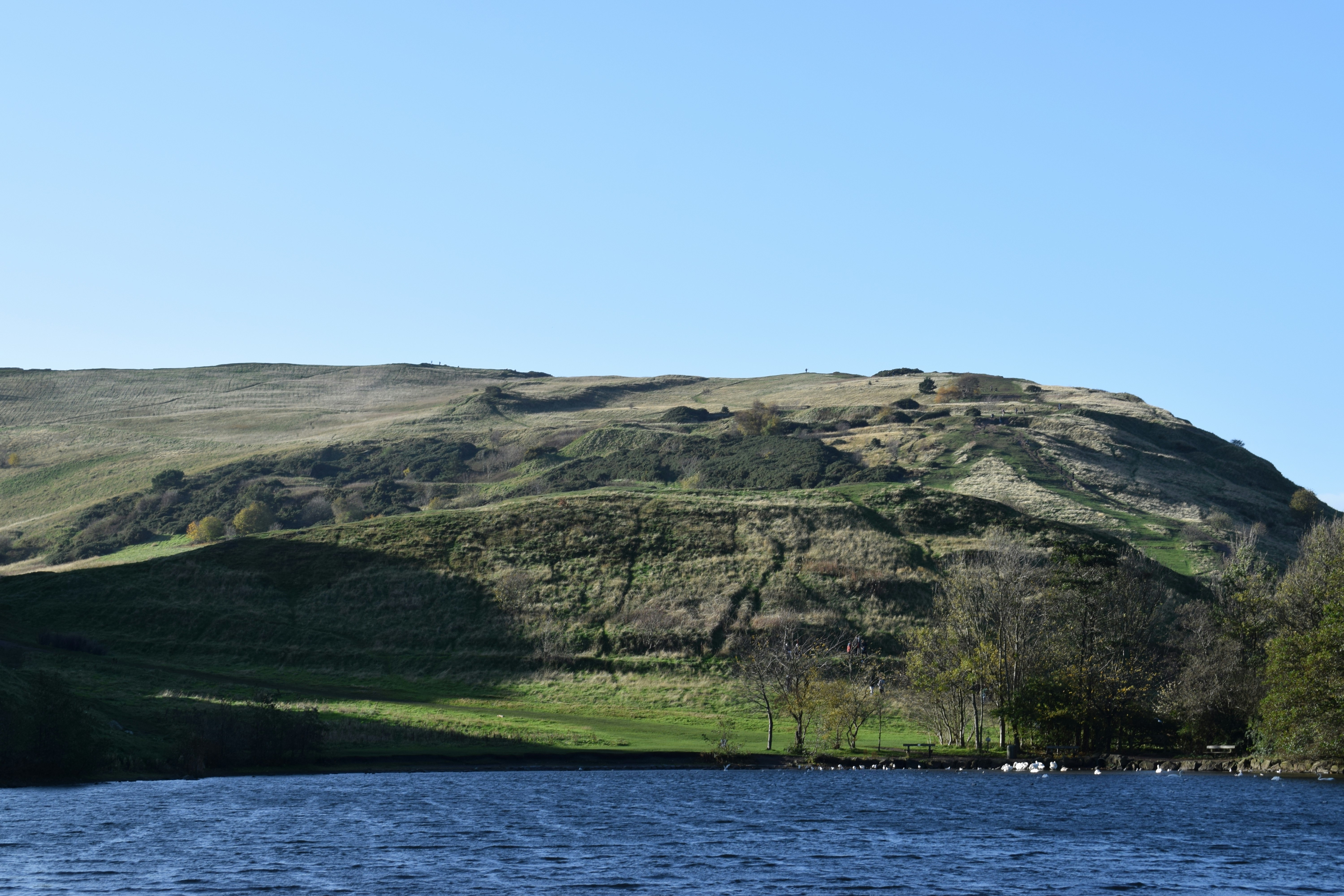 Sunlit Terraced Hillside Over a Quiet Lake