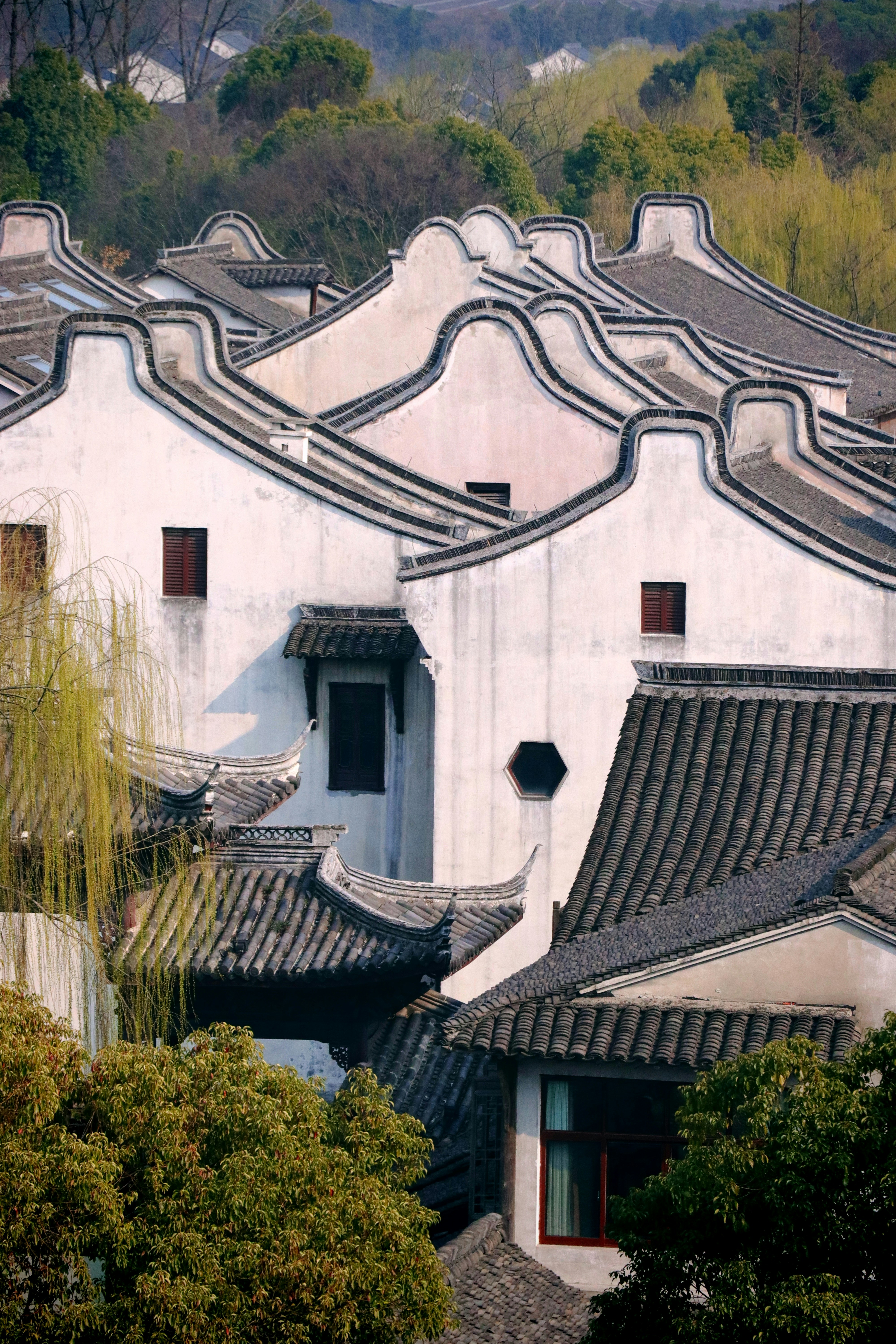 Photo by Bowen Chen with Canon EOS 77D