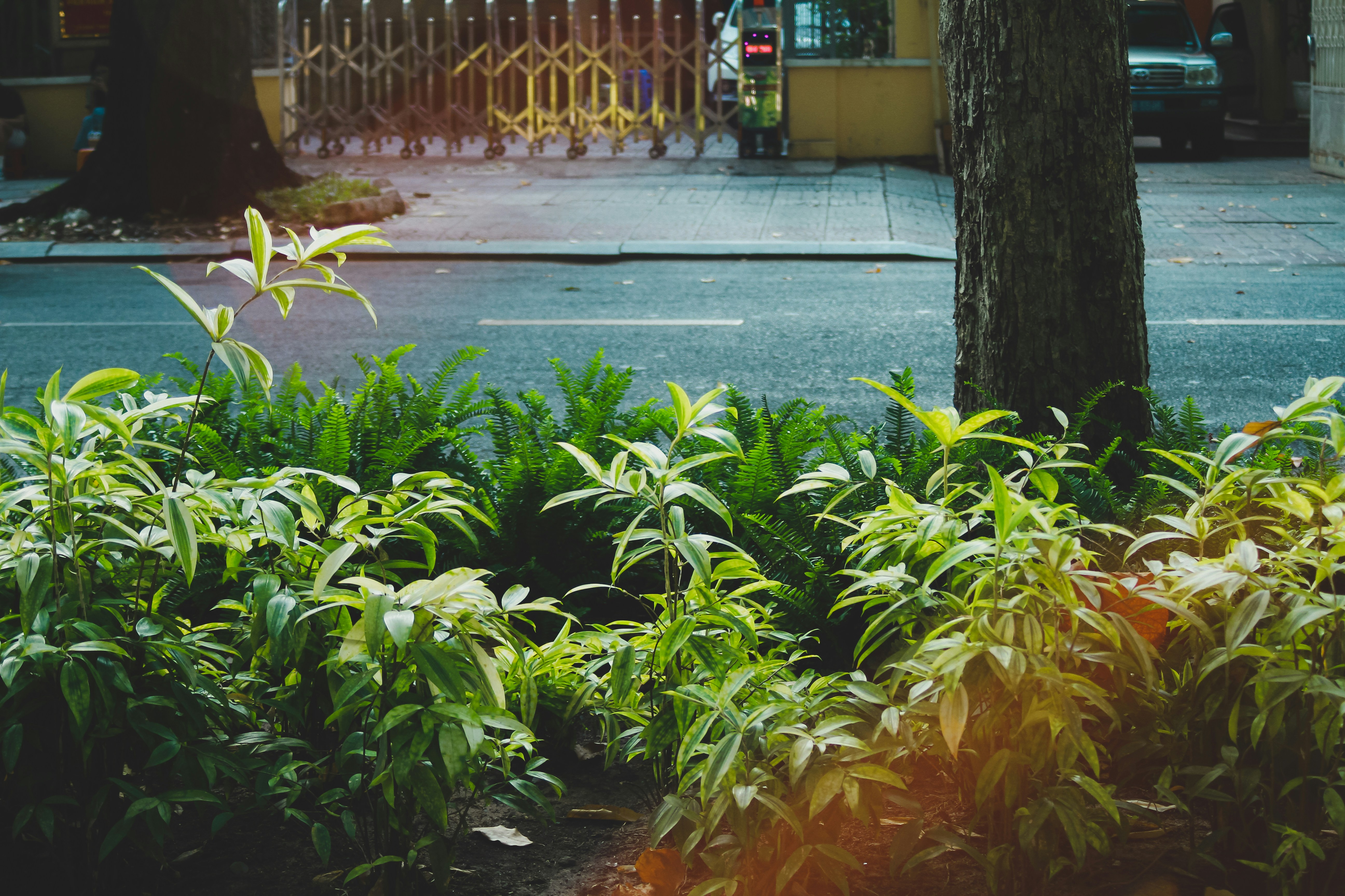 Photo by Hữu Phú with Canon EOS 7D