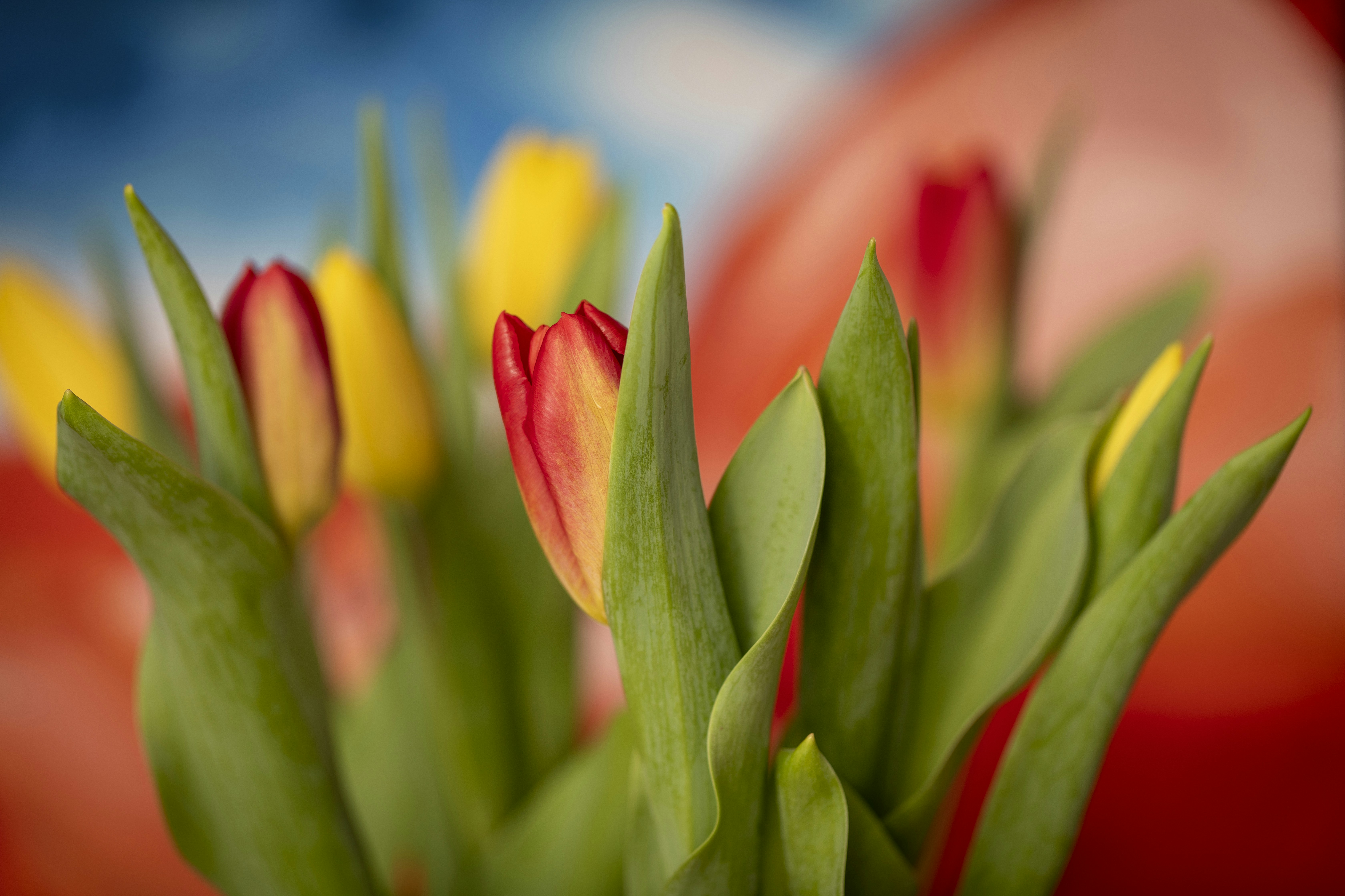 a bunch of flowers that are in a vase