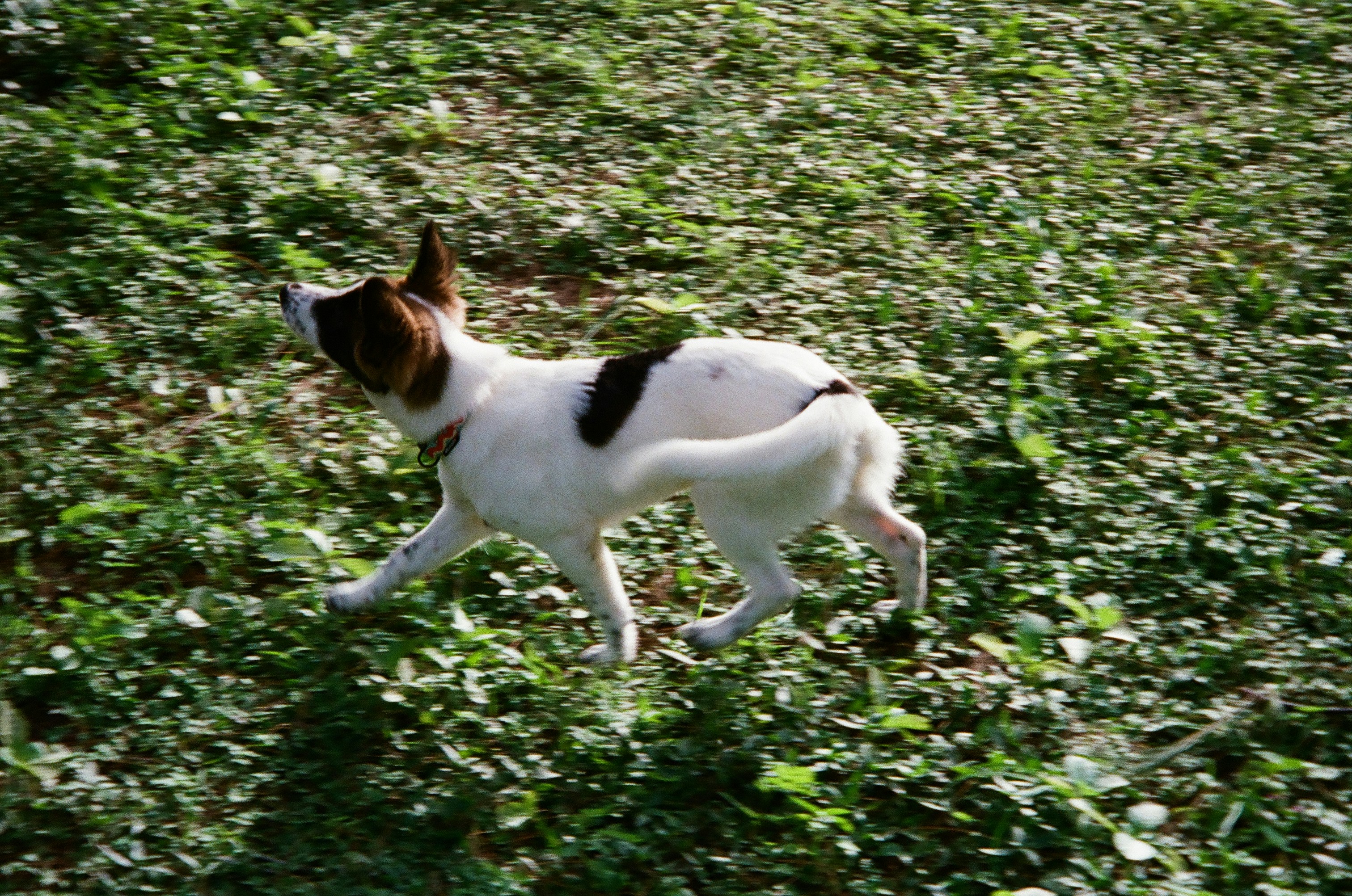 Victoria Mayorova (@mayorovadesign) | Unsplash 사진 커뮤니티