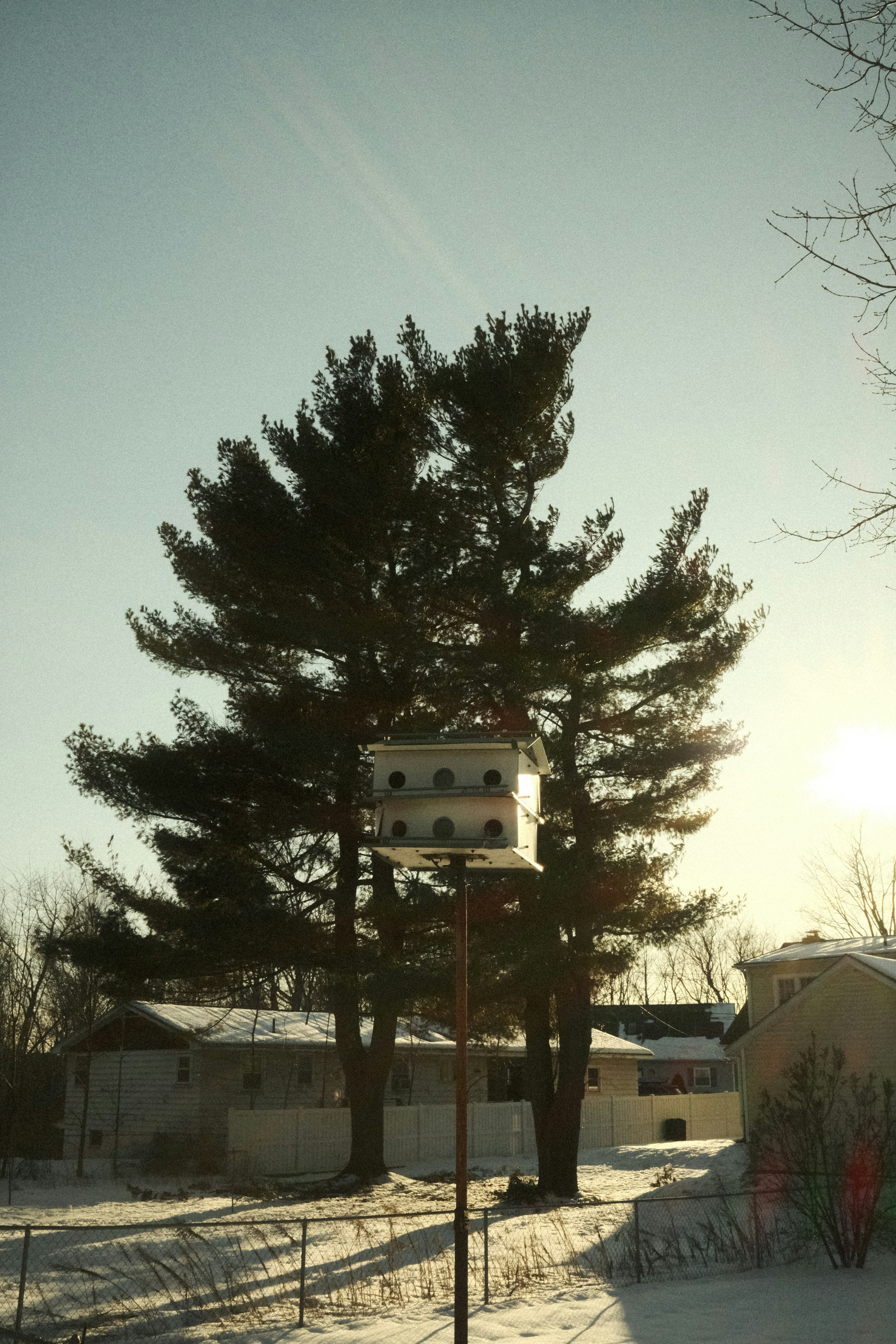 Photo by Danny Greenberg with Fujifilm X100V