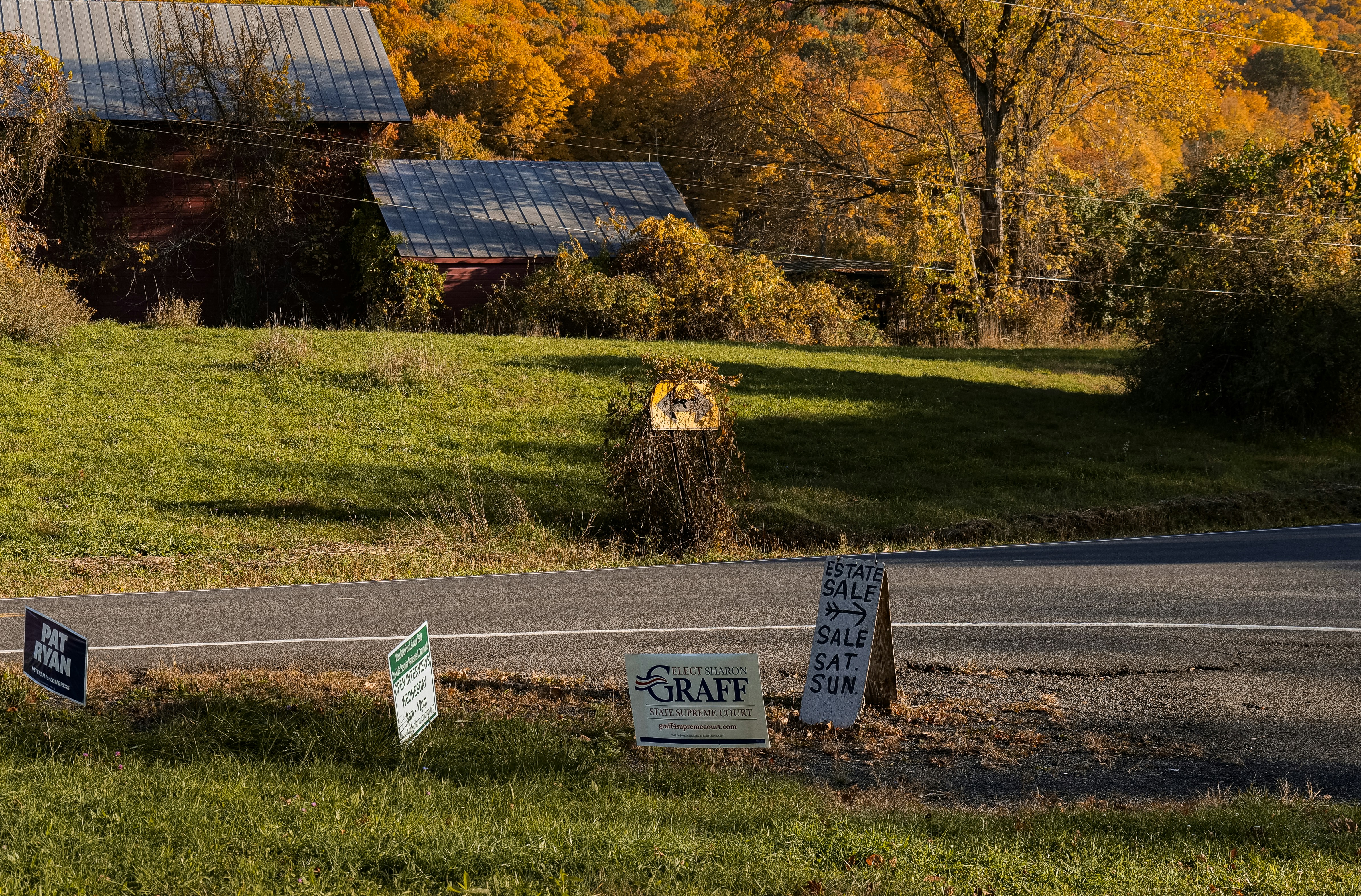 Autumn Roadside Signals: A Weathered Stump Among For-Sale Signs