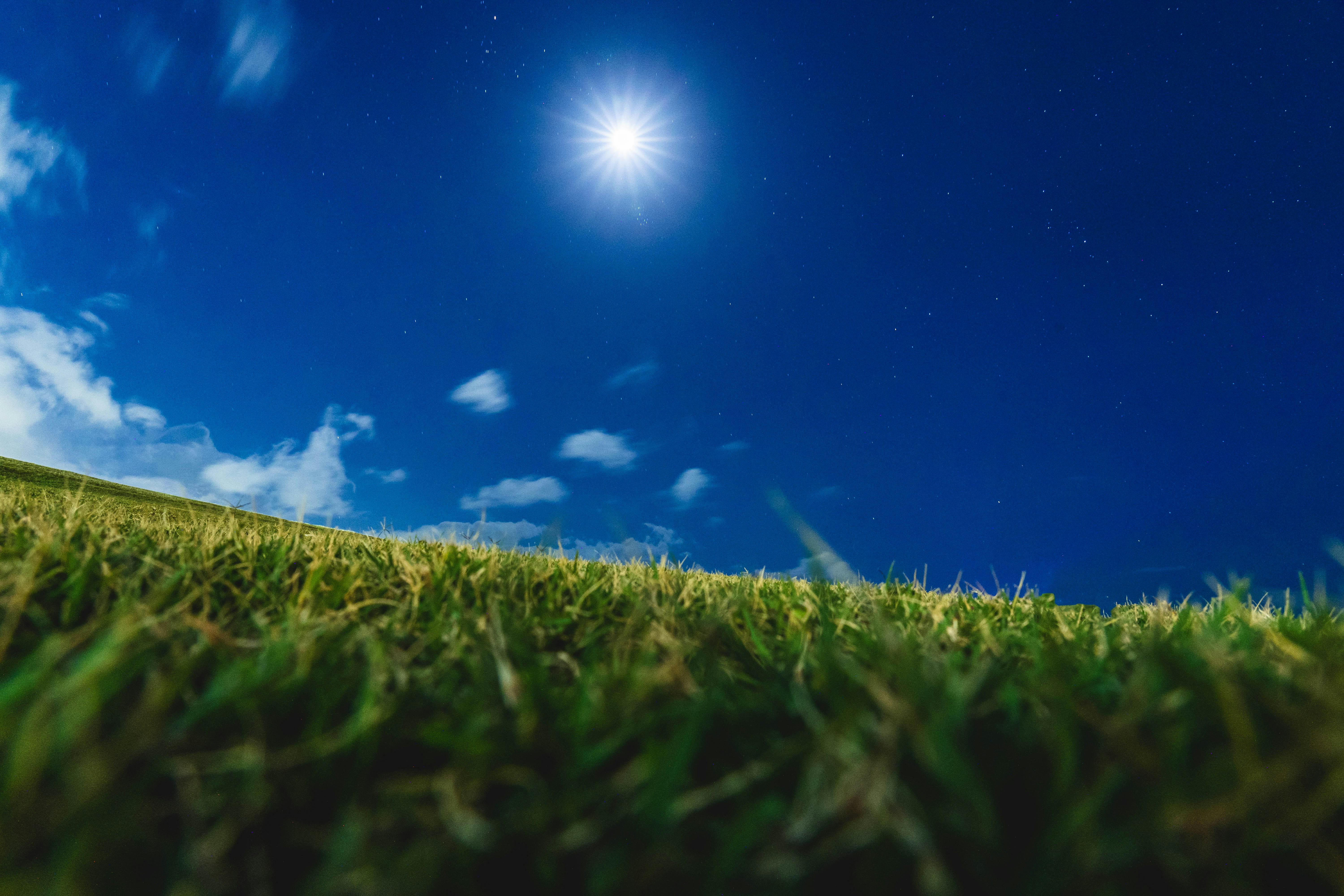 Moonlit Grass Beneath a Star-Pinned Night Sky