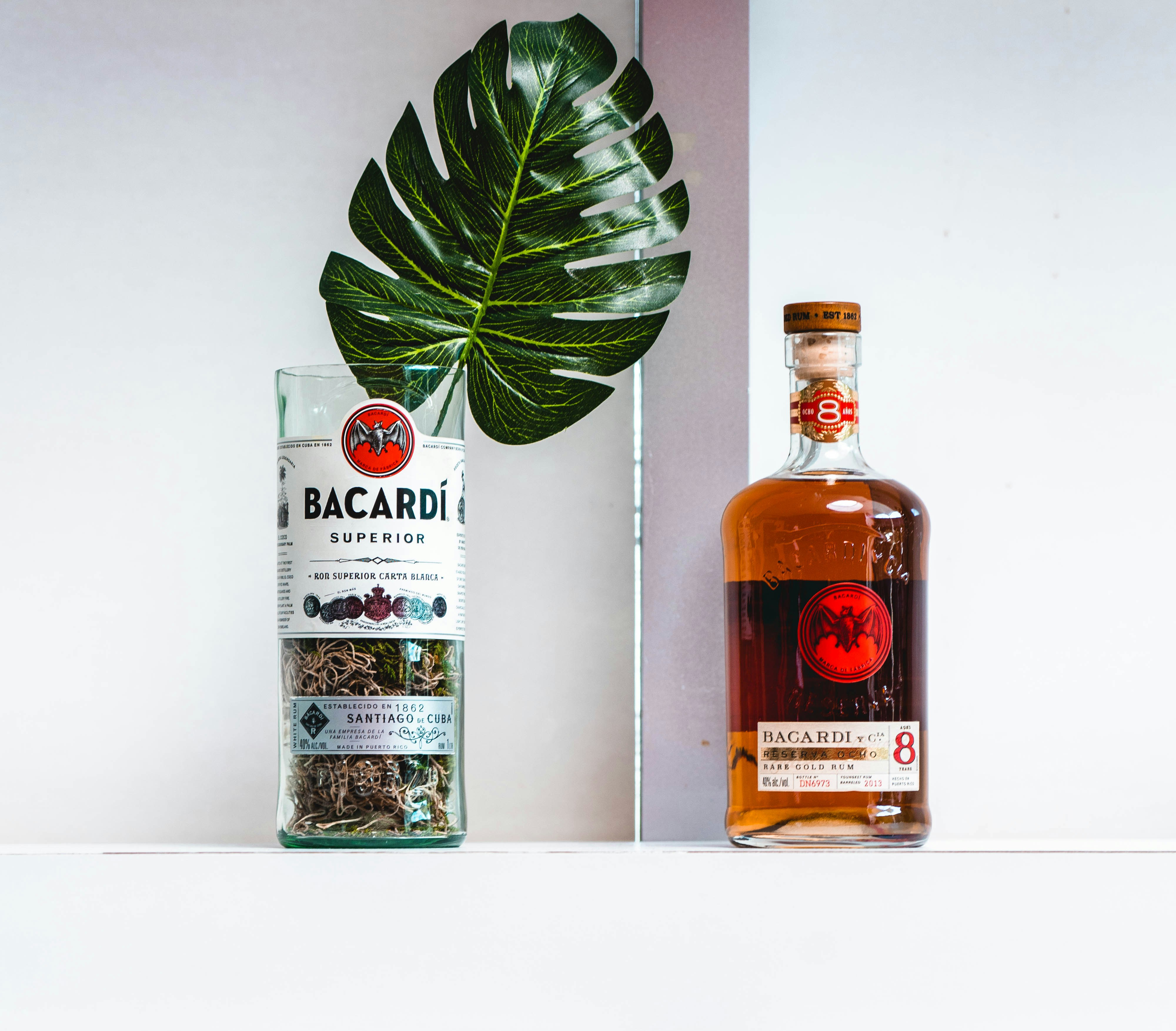 Monstera, Amber, and Label: A Minimal Bacardi Still Life