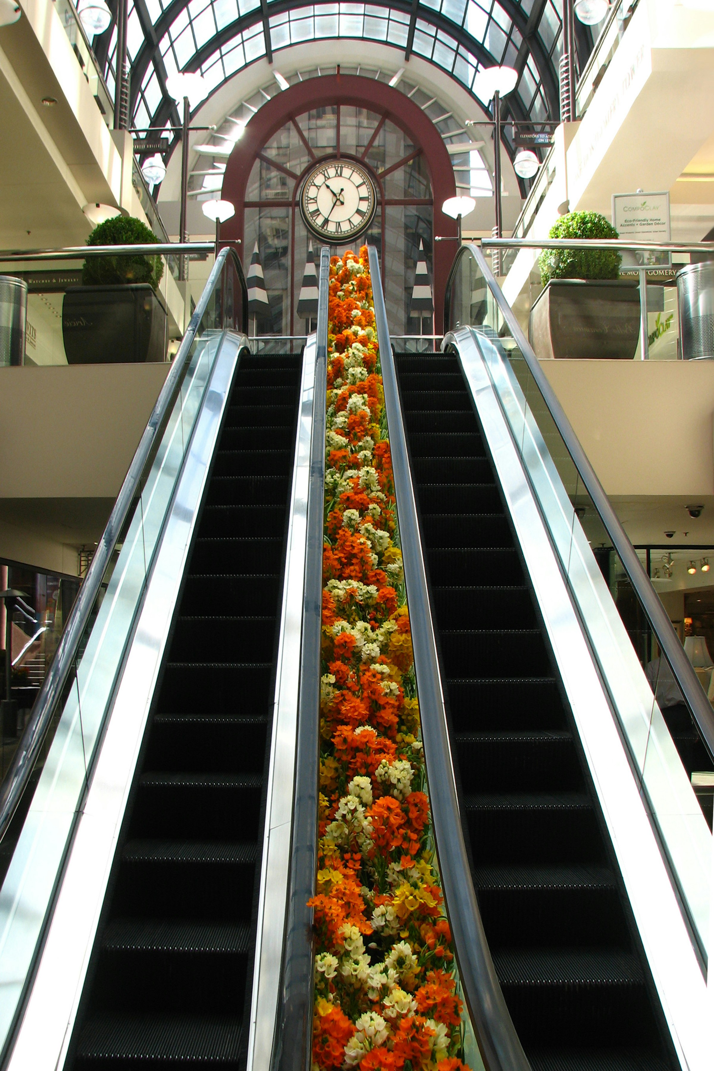 Pair of escalators flank a central floral stripe rising toward a large clock in a glass-arched mall atrium. This interior photograph emphasizes symmetry and the floral ascent guiding the eye to the timepiece.