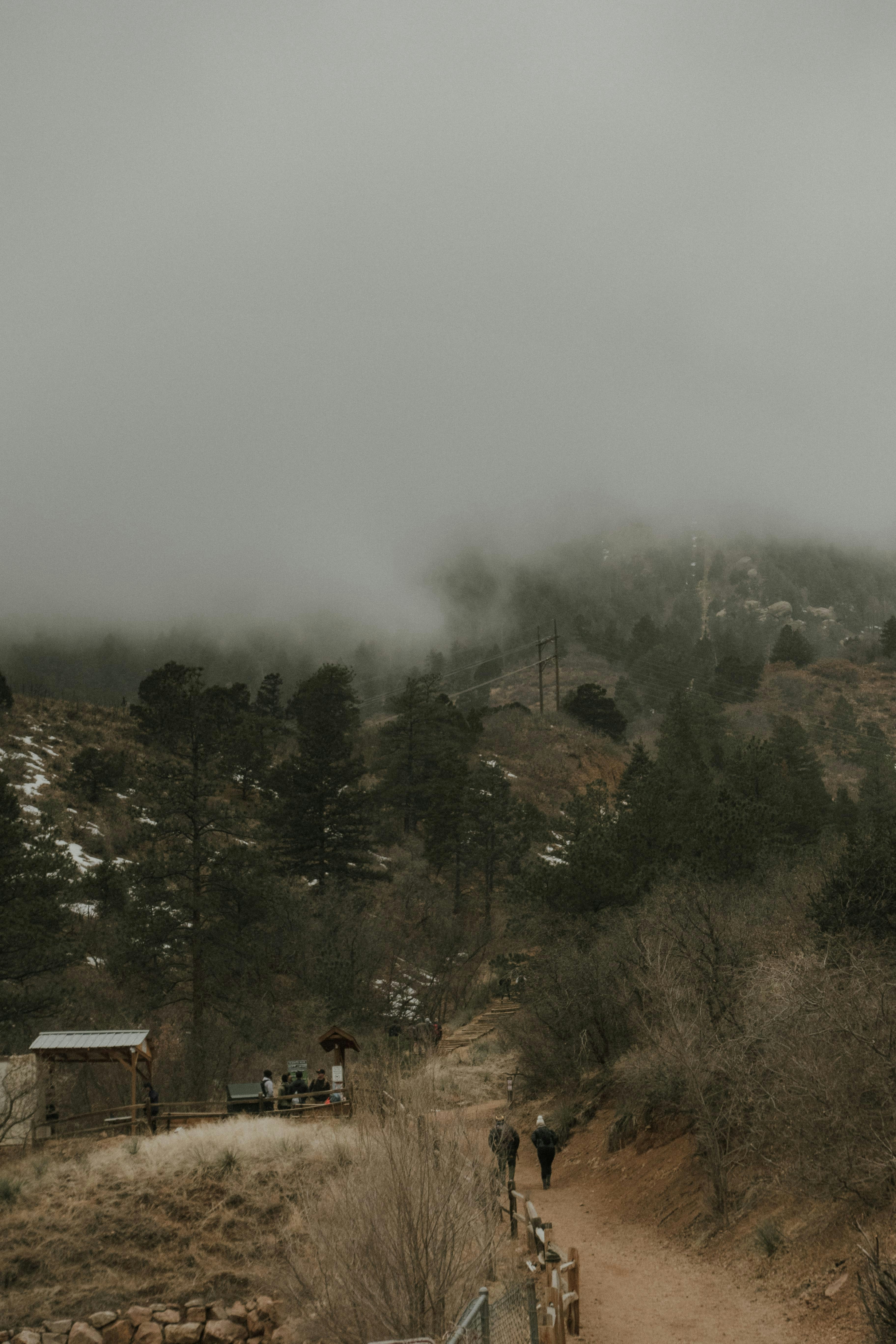 Two hikers walking along a winding path surrounded by fog and pine trees, with a rustic shelter in the foreground. The atmosphere evokes a sense of solitude and adventure.