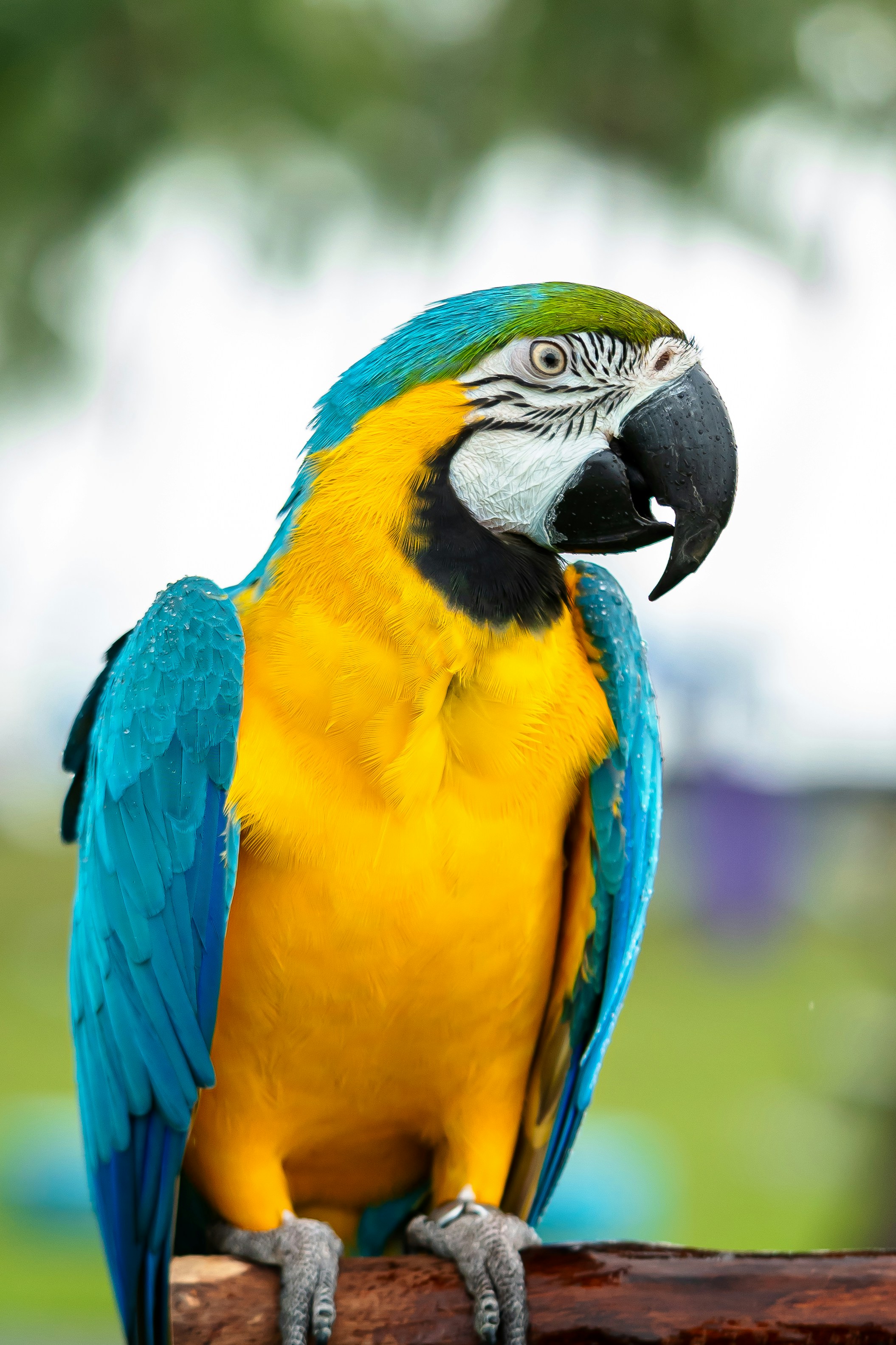 Photo by Happysurd Photography with Sony Alpha 7 IV