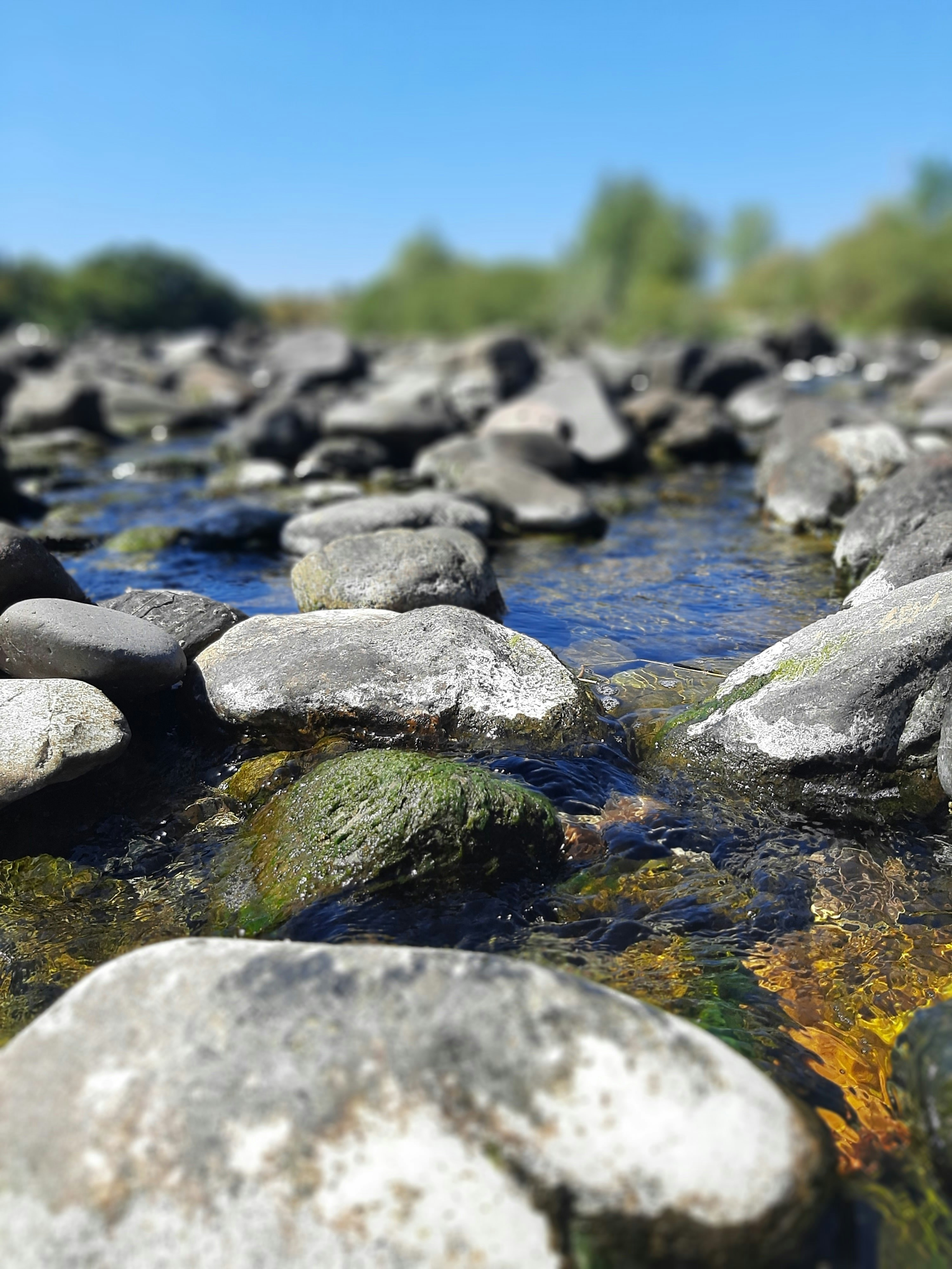 A stream of water surrounded by rocks and grass photo – Free Bulgaria ...