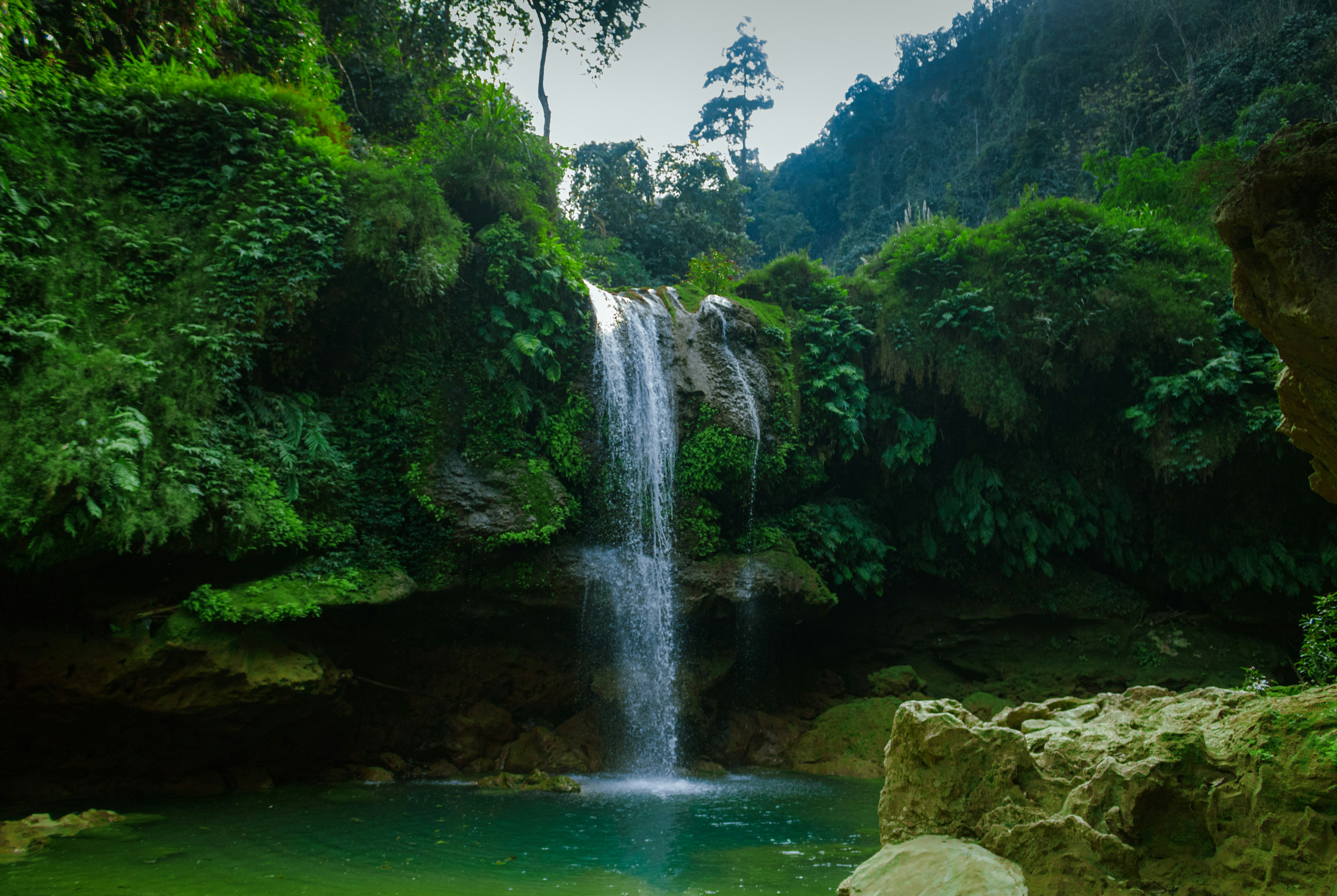 A serene waterfall cascades into a tranquil pool, surrounded by lush greenery and rocky formations.