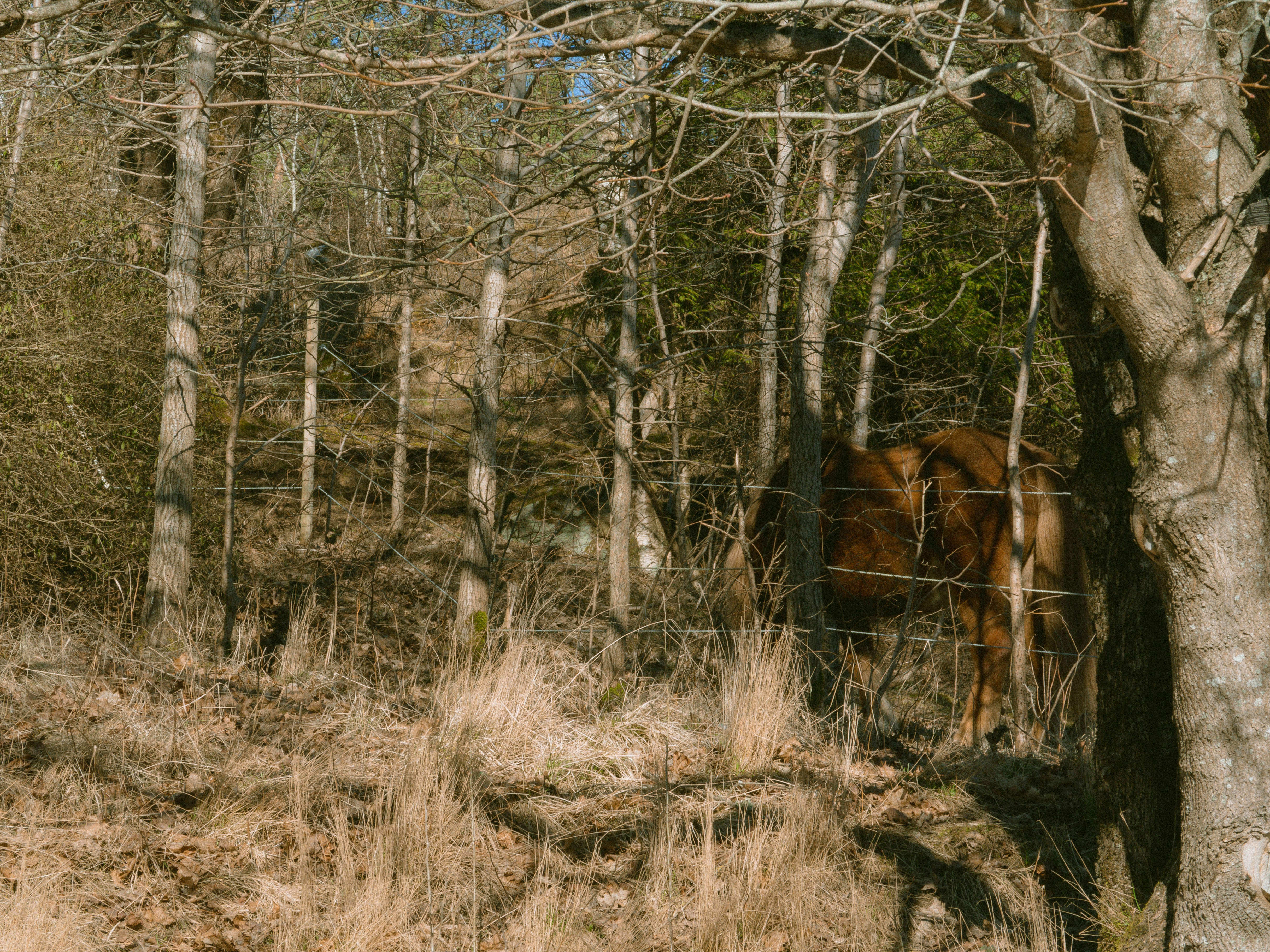 Photo by Keith Mapeki with Canon PowerShot G7 X Mark II