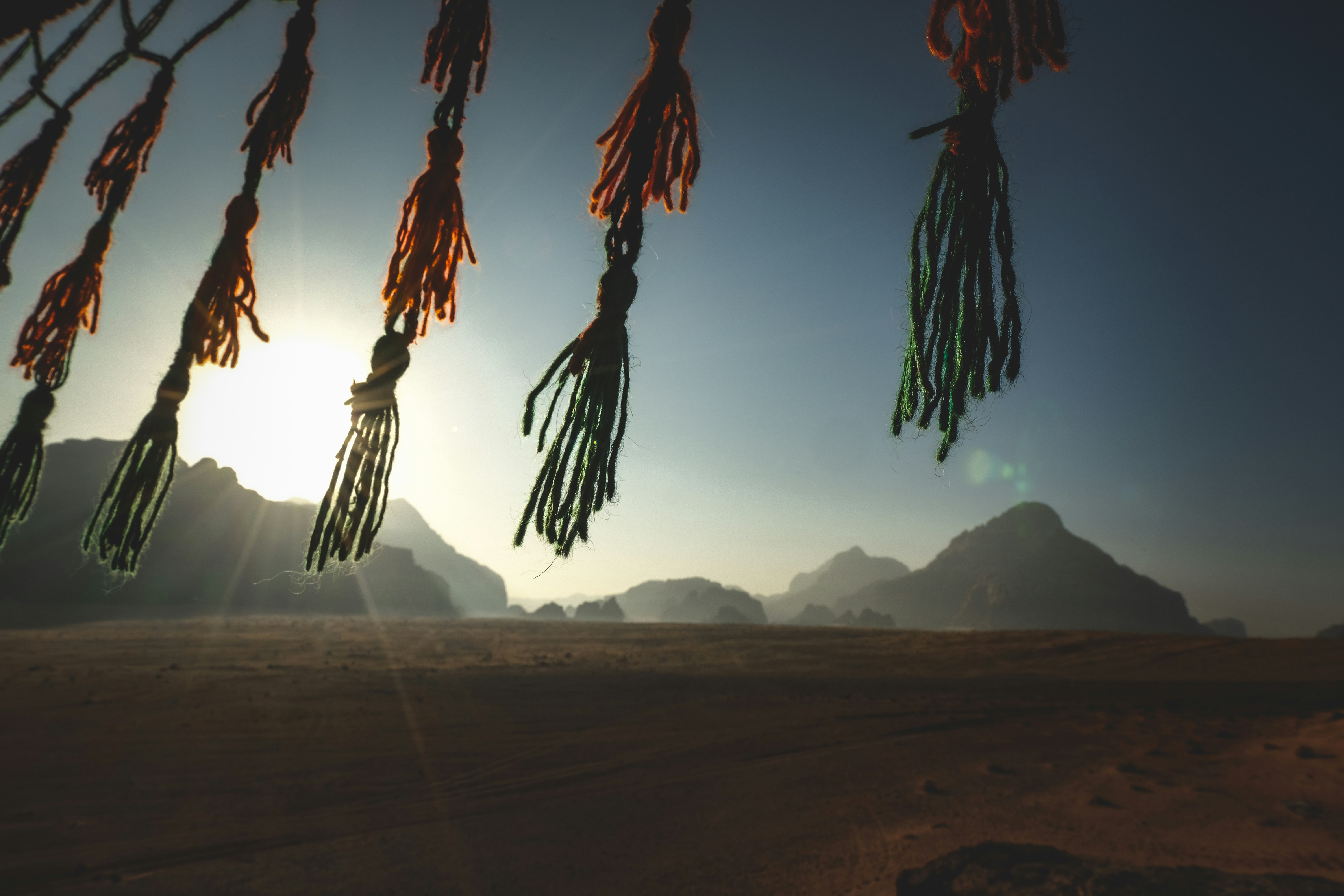 Tassels in the Desert: Sunlit Horizon and Distant Peaks