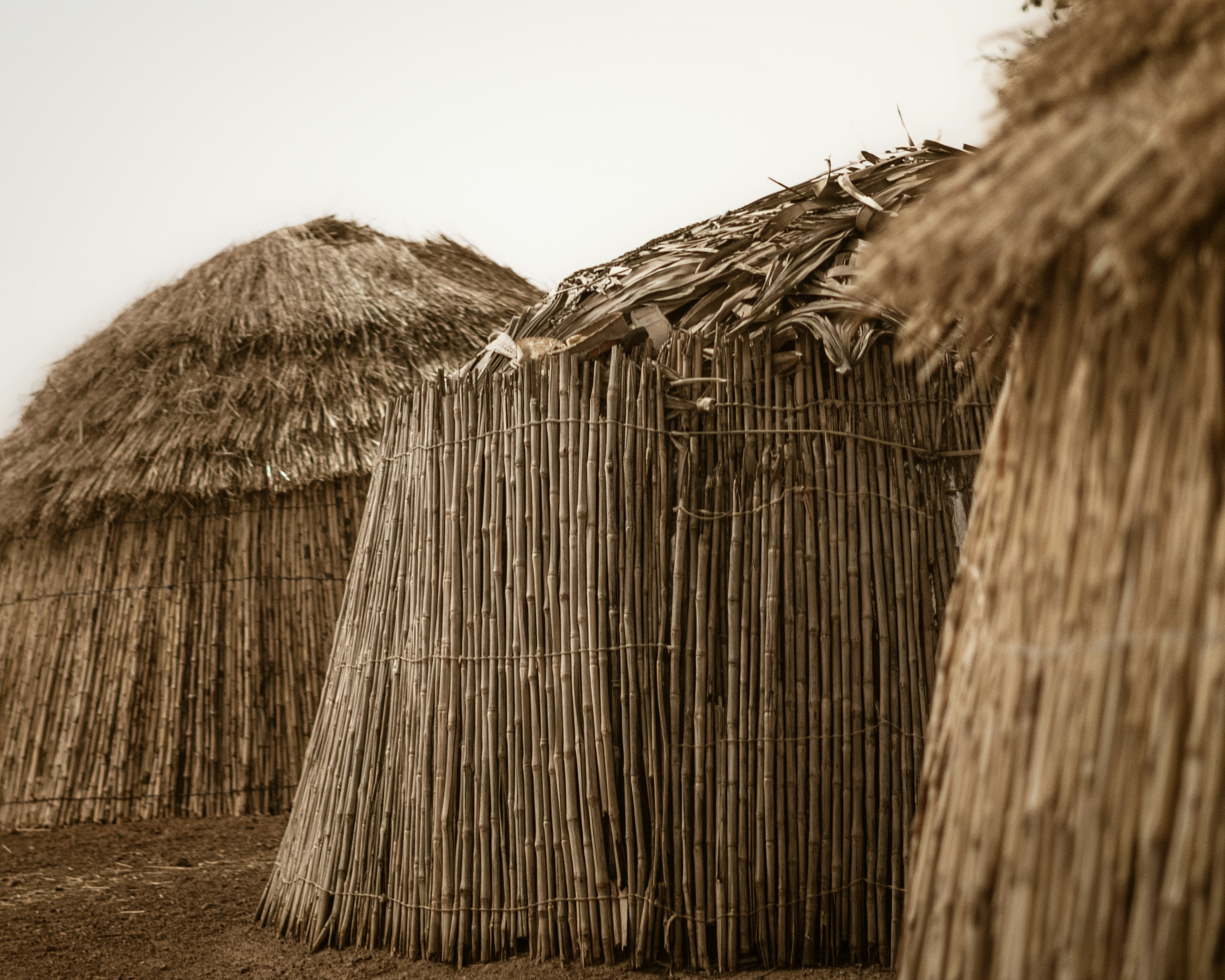 A group of straw huts sitting next to each other photo – Free Village ...