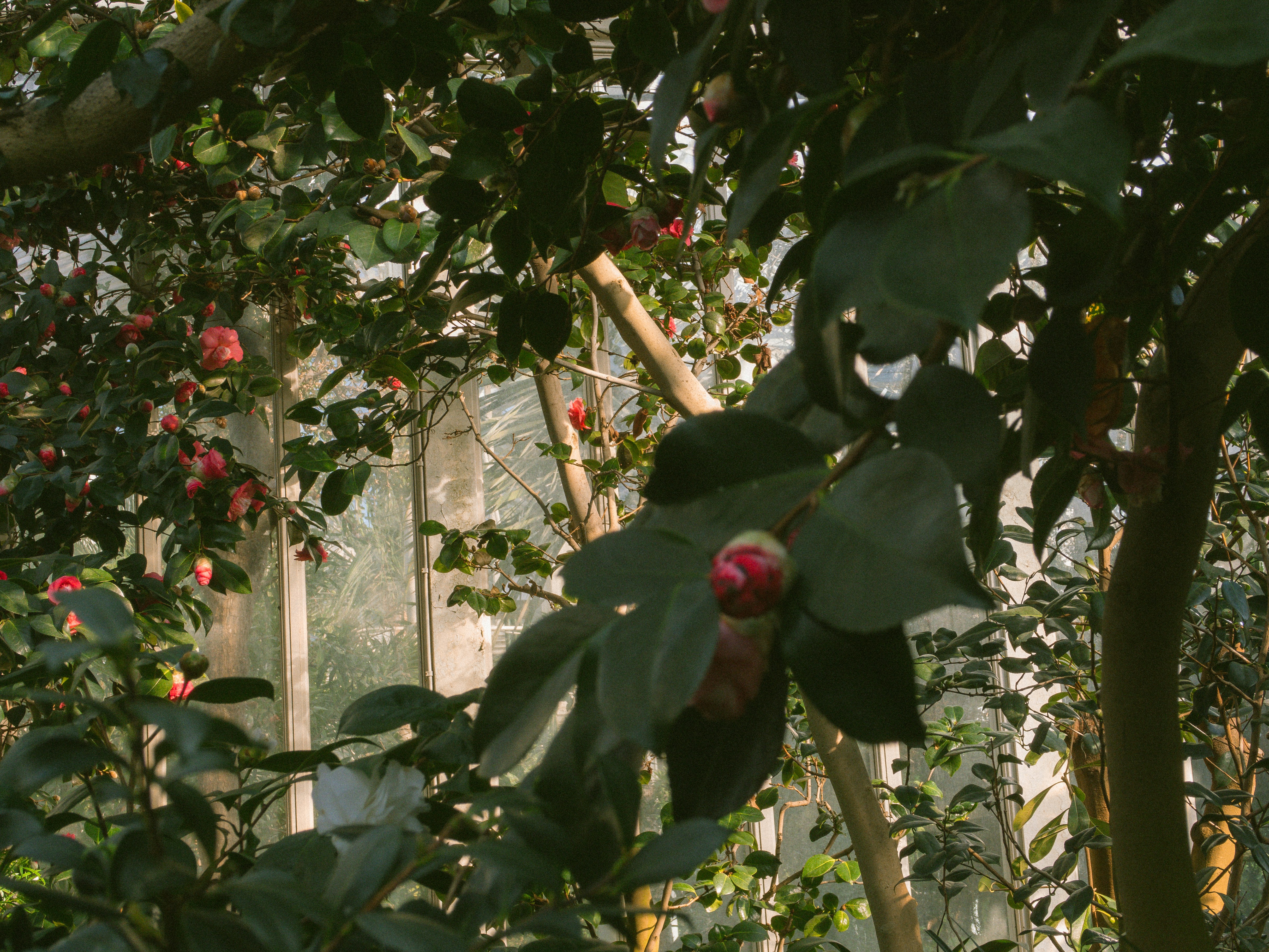 Photo by Keith Mapeki with Canon PowerShot G7 X Mark II