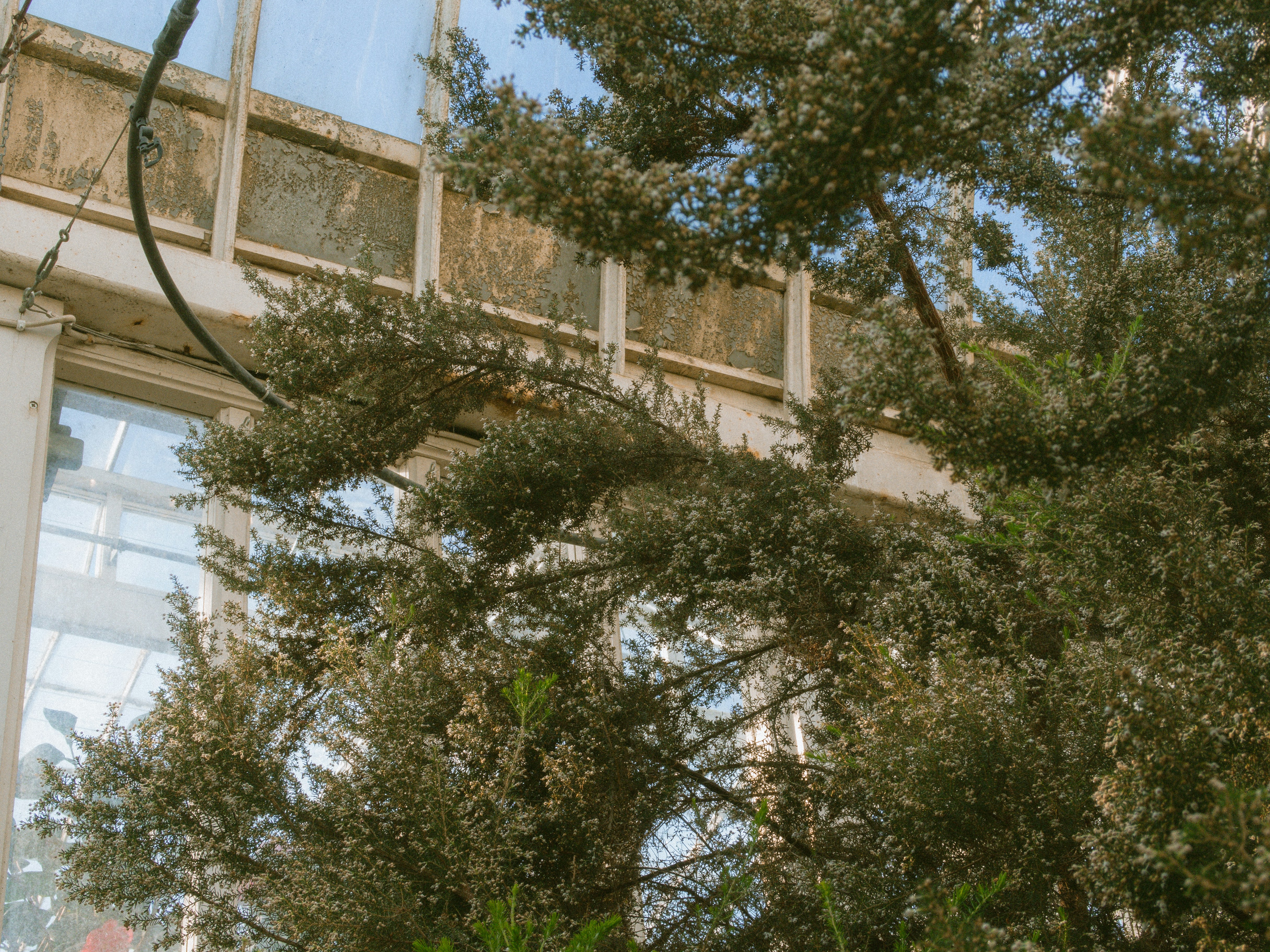 Clock mounted on a pole stands in front of a contemporary building facade with large windows.