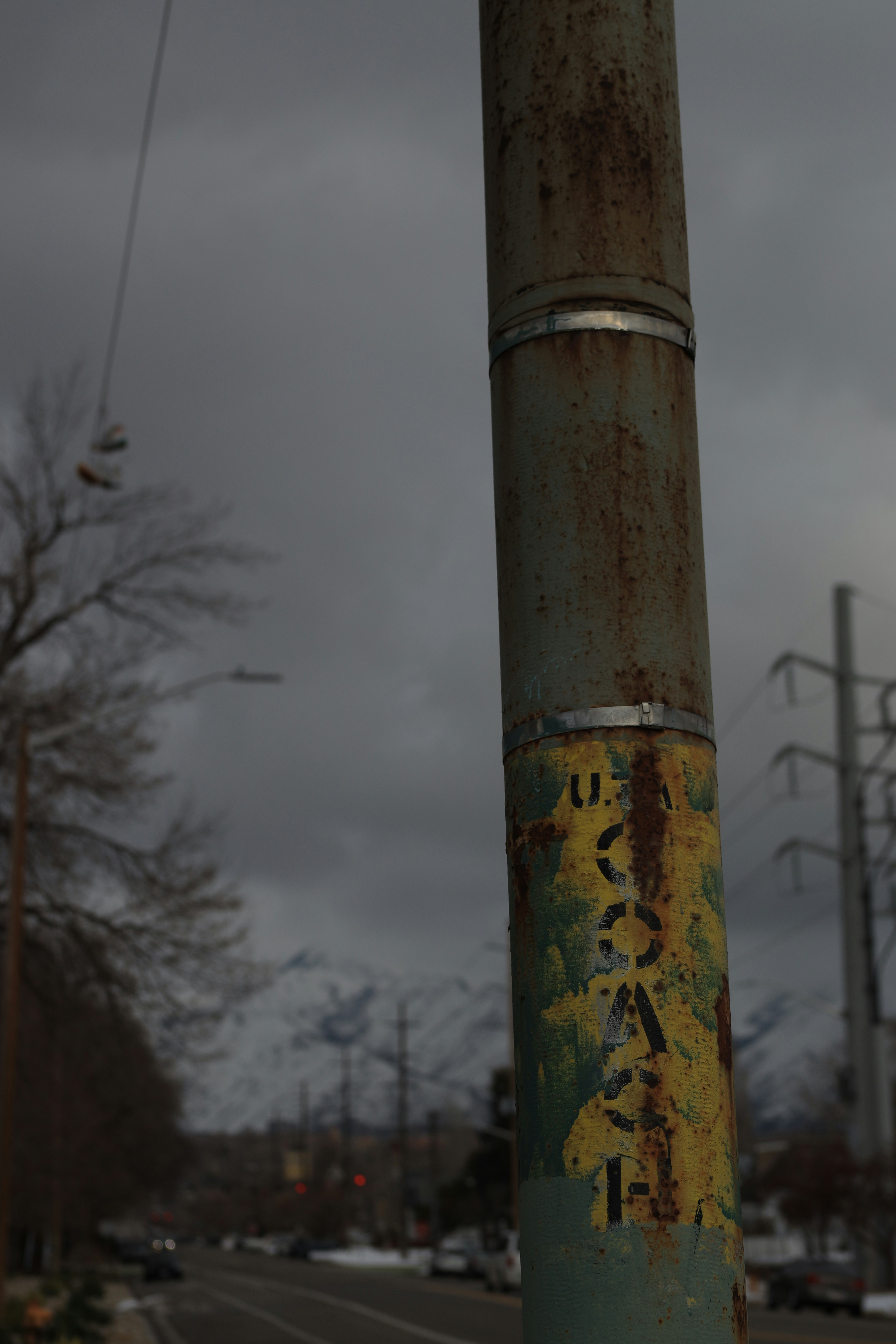 Photo by Danny Burke with Canon EOS R