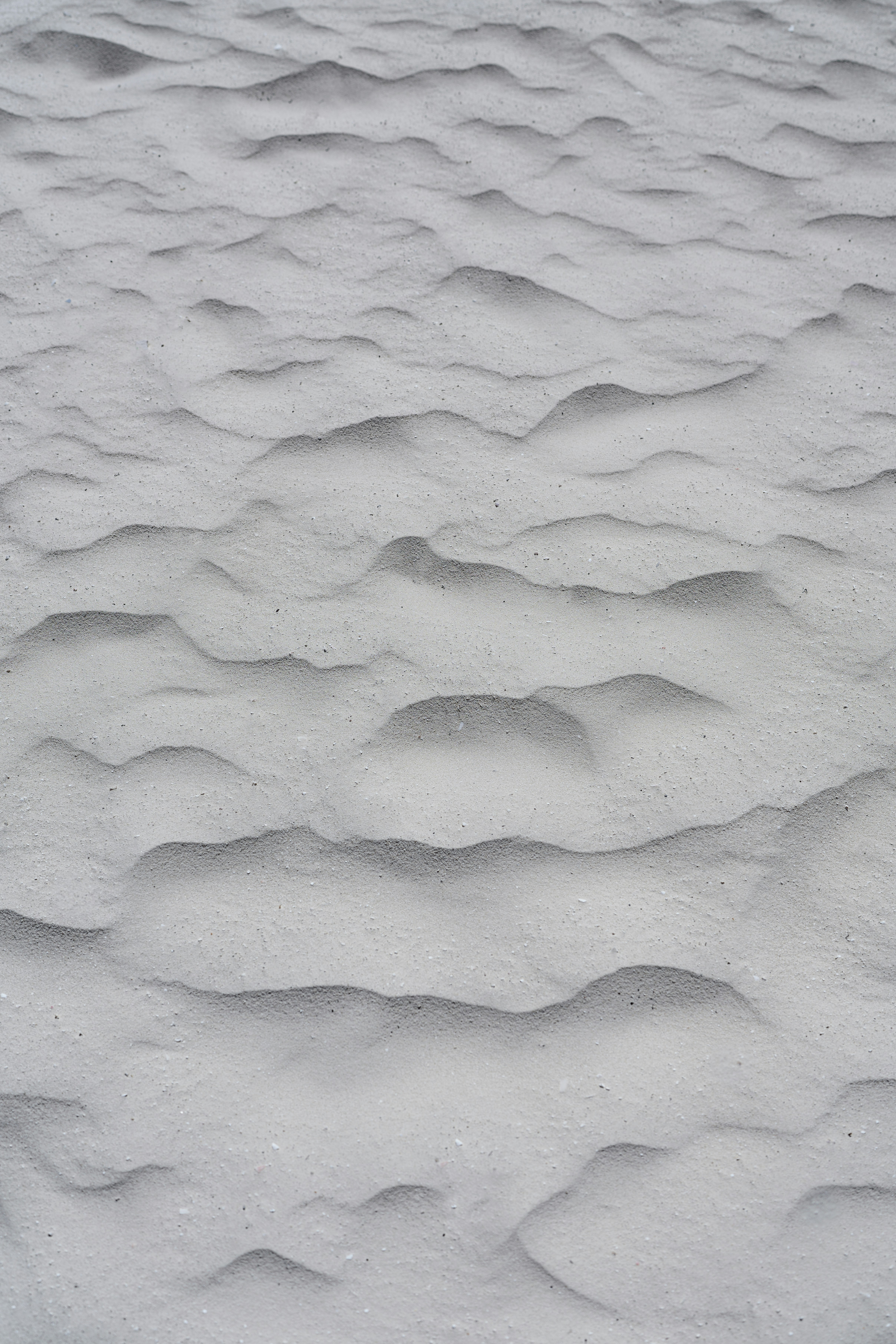 Whispers in Sand: Wind-Sculpted Ripples in Monochrome