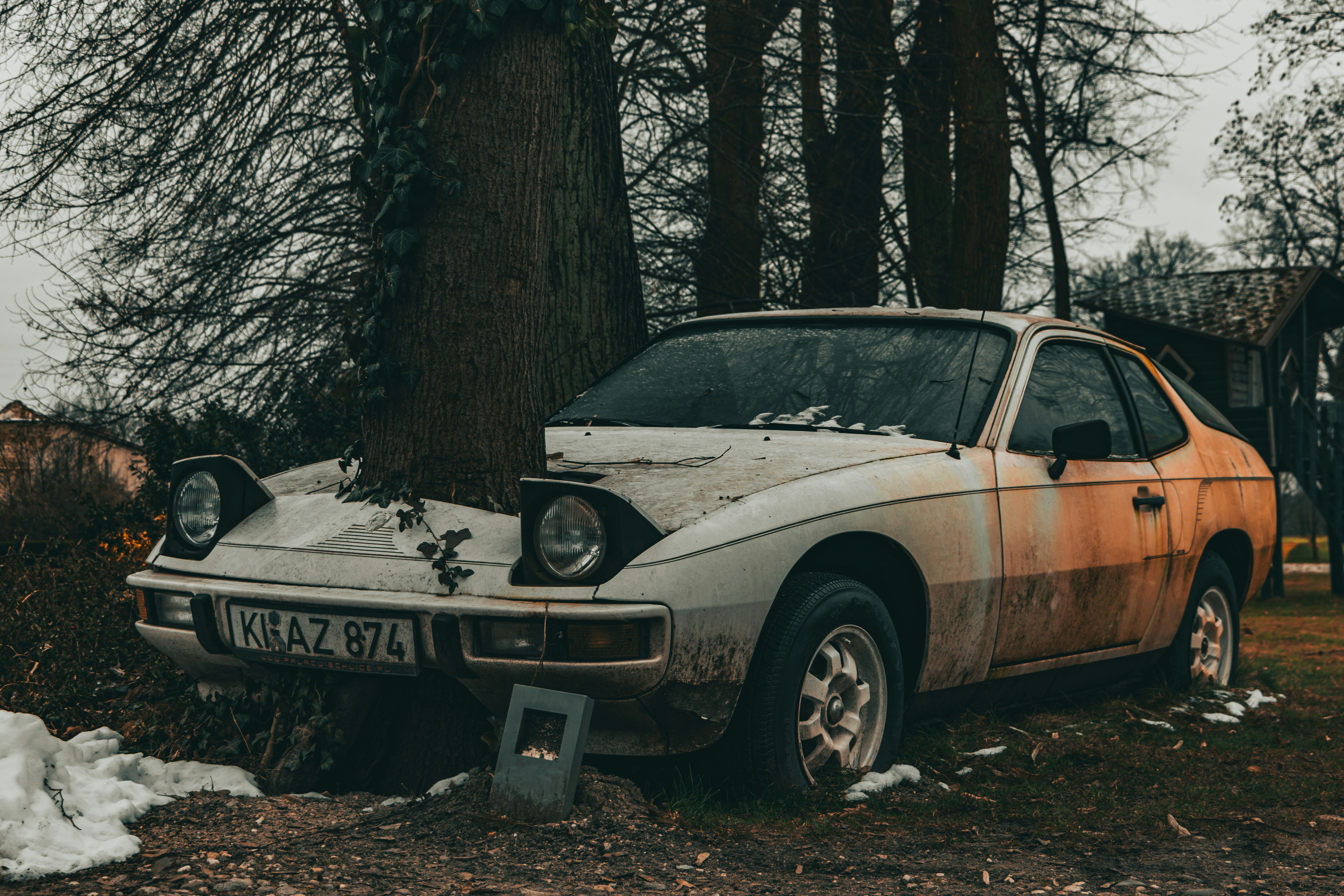 A rusted out car is parked in the woods photo – Free Poland Image on ...