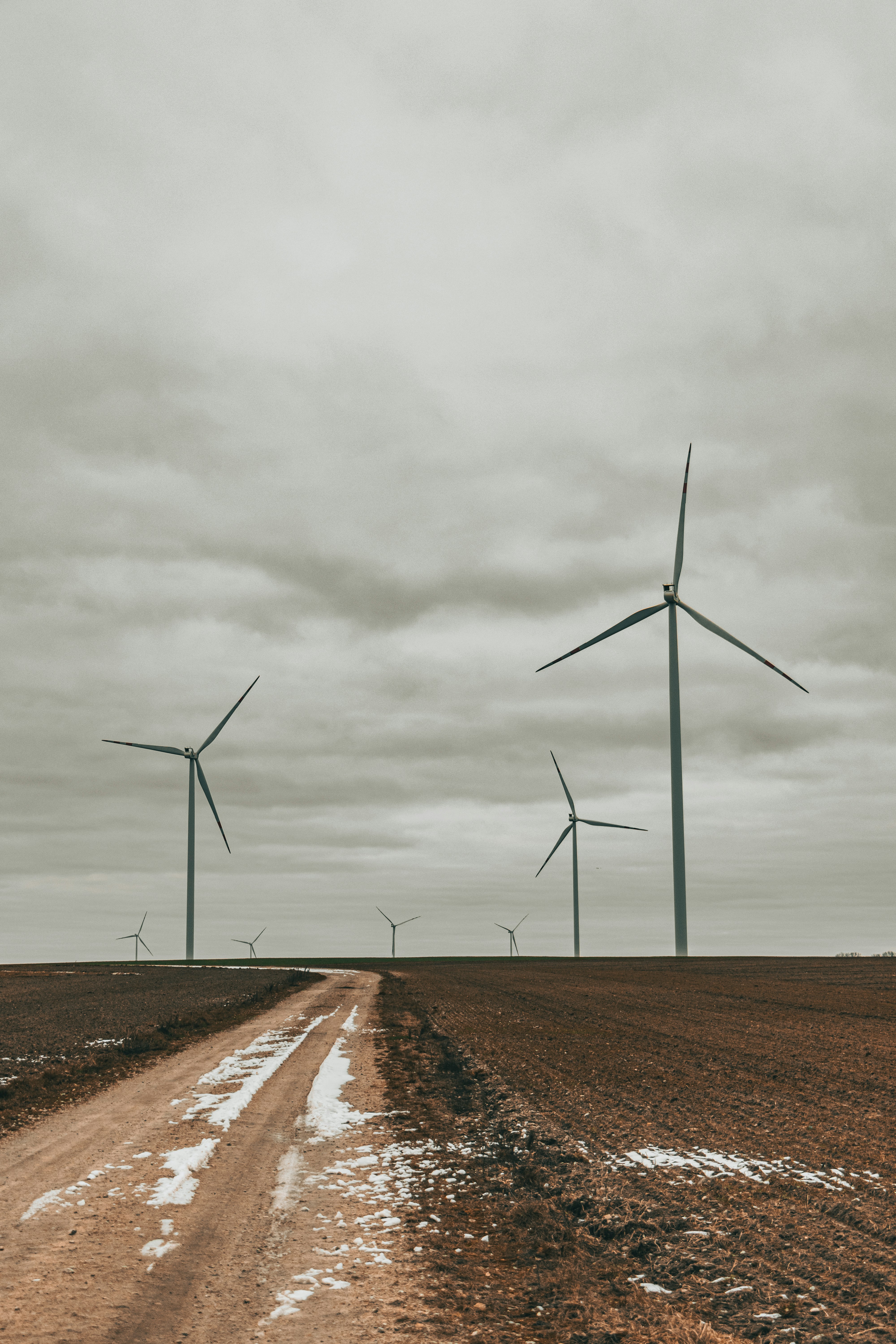 Windward Horizon: A Row of Wind Turbines marching across a tilled field