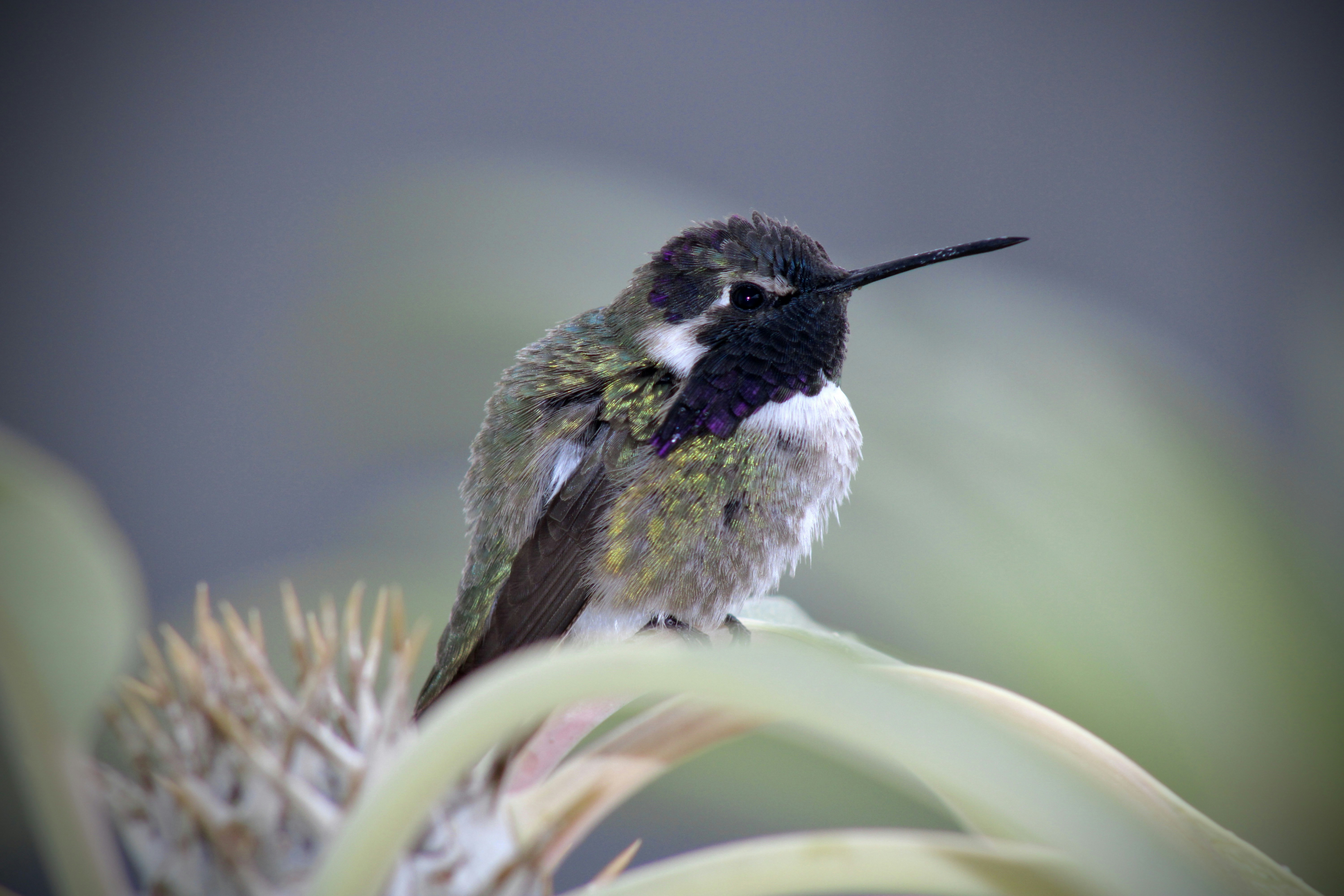 Photo by vivien solomon with Canon EOS 2000D