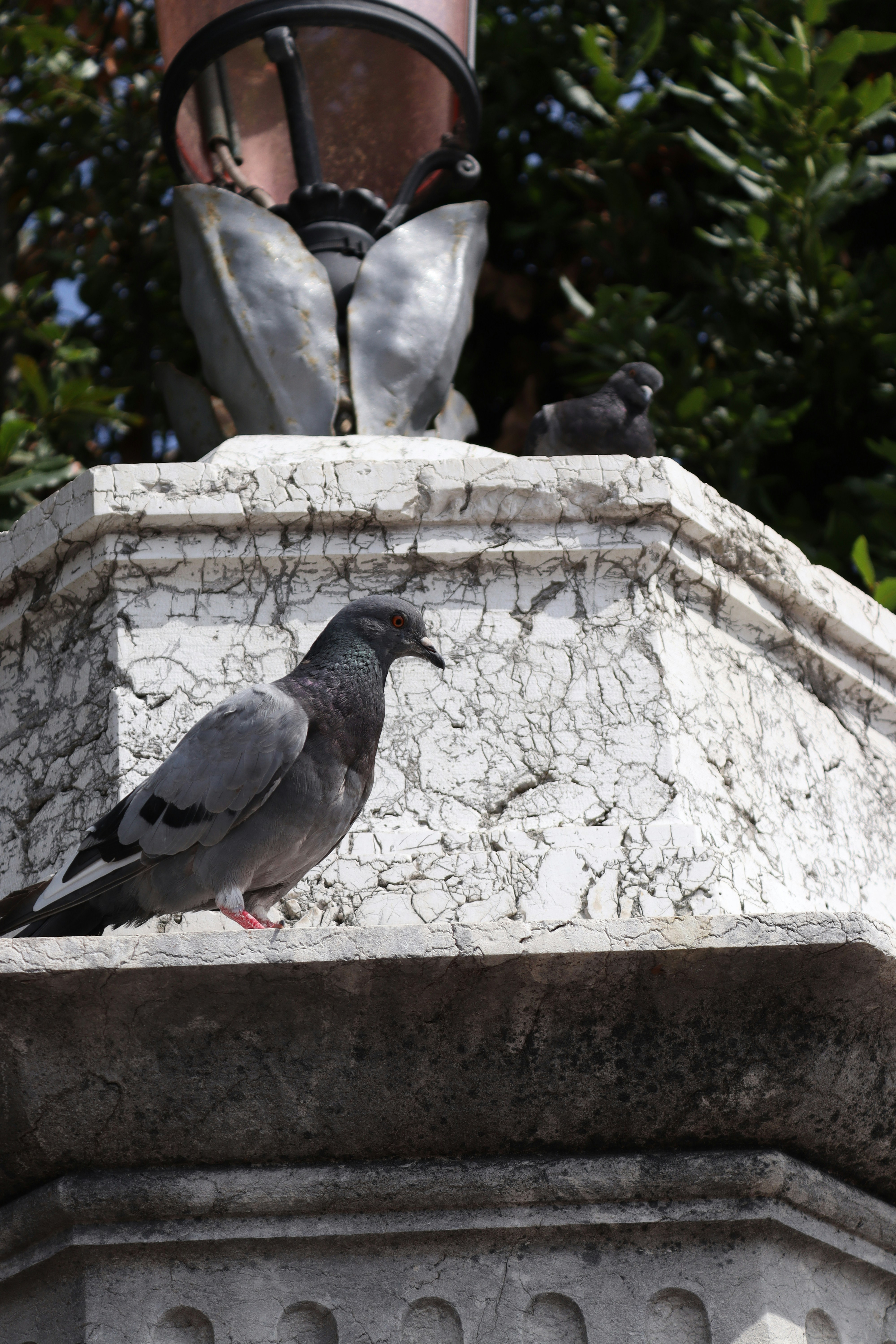 a pigeon sitting on a stone pillar next to a lamp post