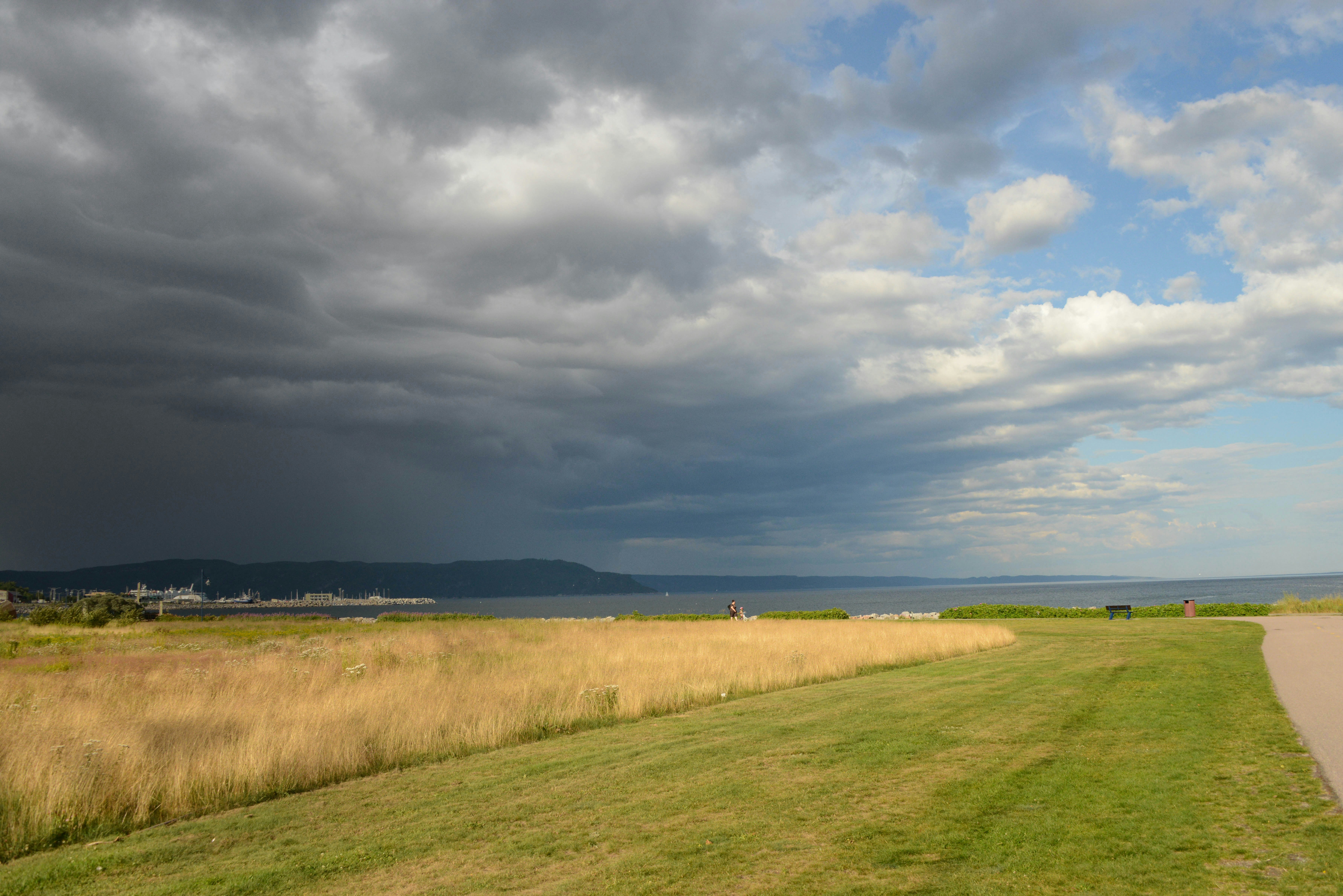 Storm Front Over a Sunlit Coastal Meadow