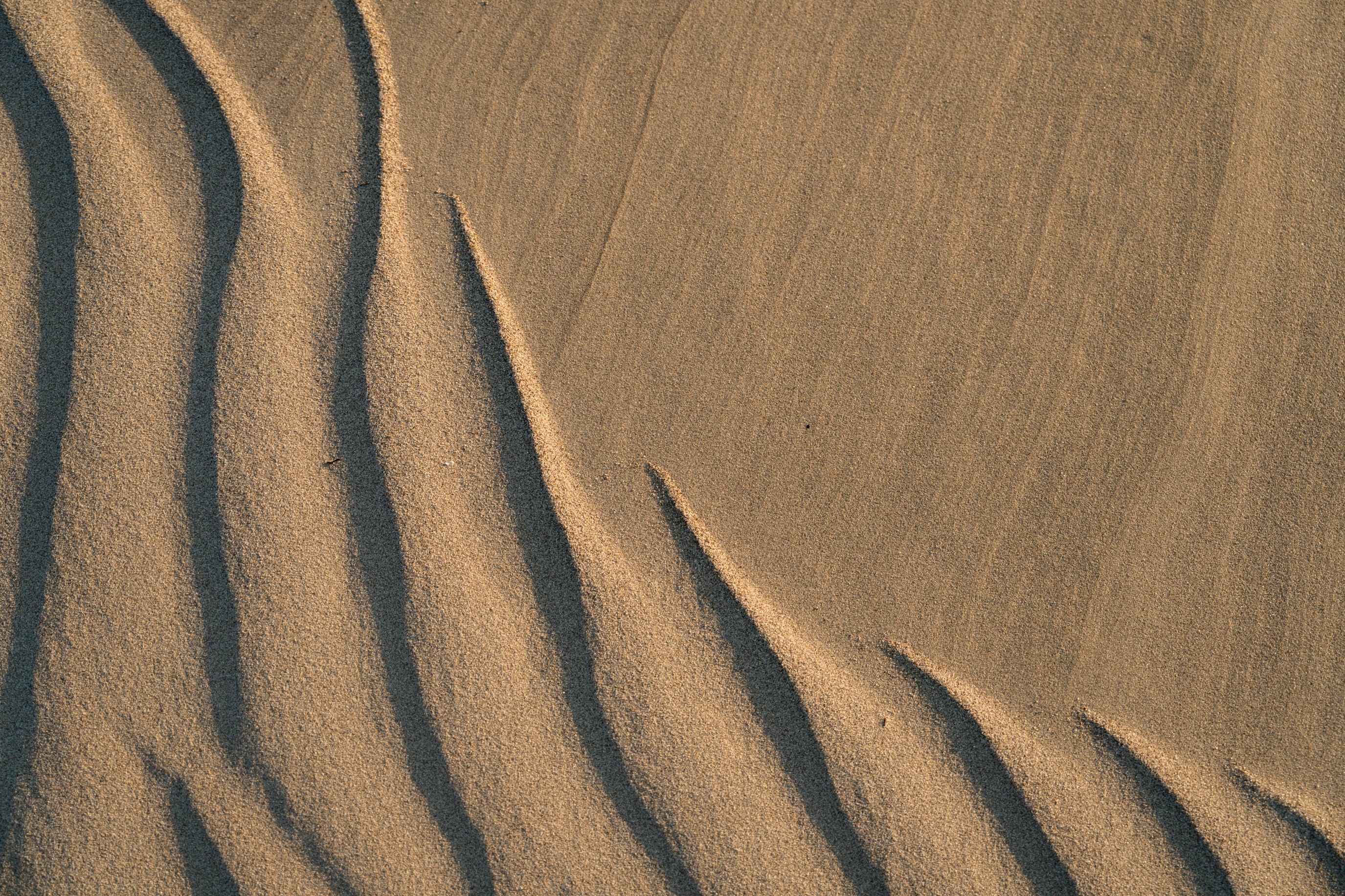 Curved ridges of sand form intricate patterns in the golden light.
