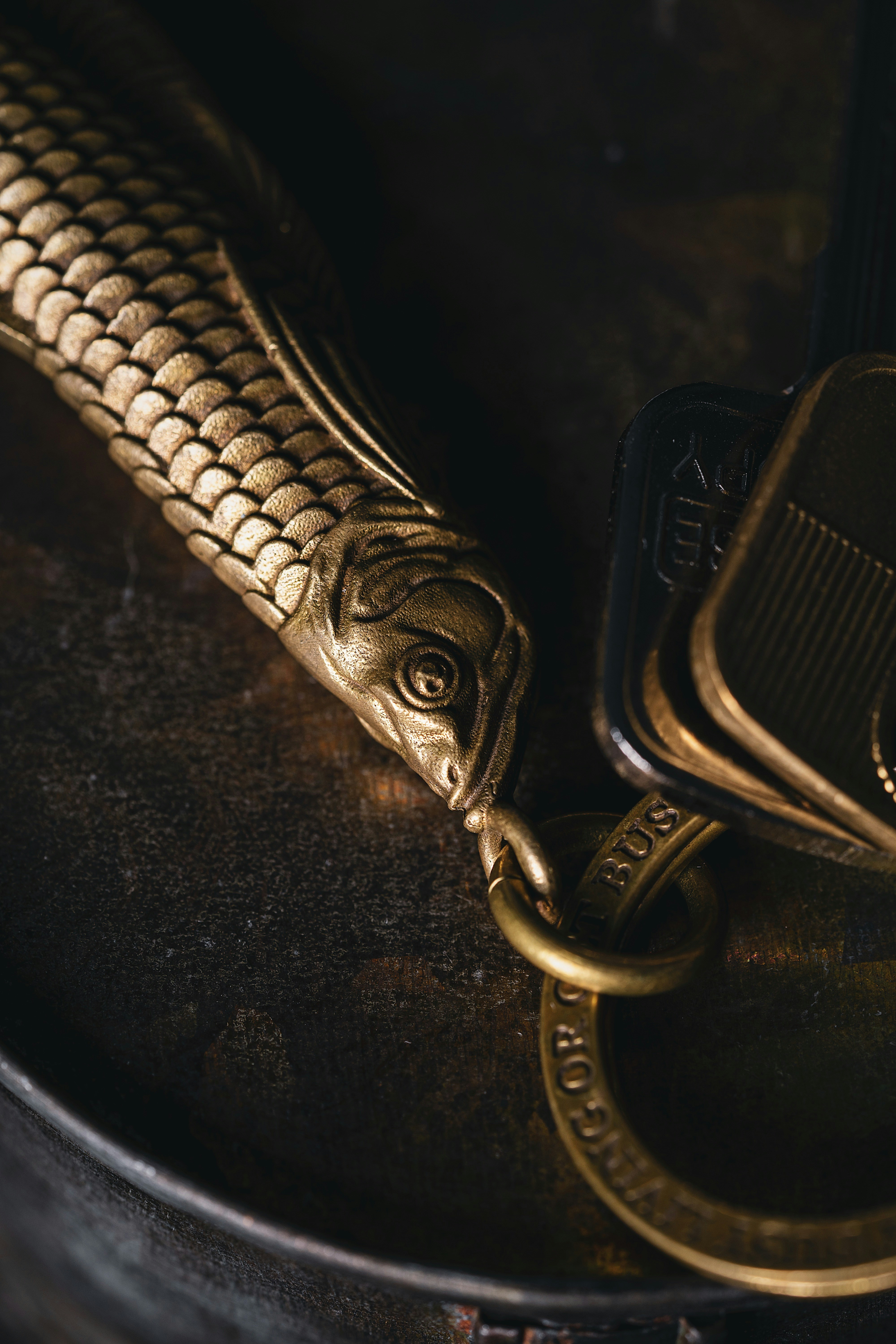 A brass snake keychain on top of a metal bucket photo – Free Animal ...