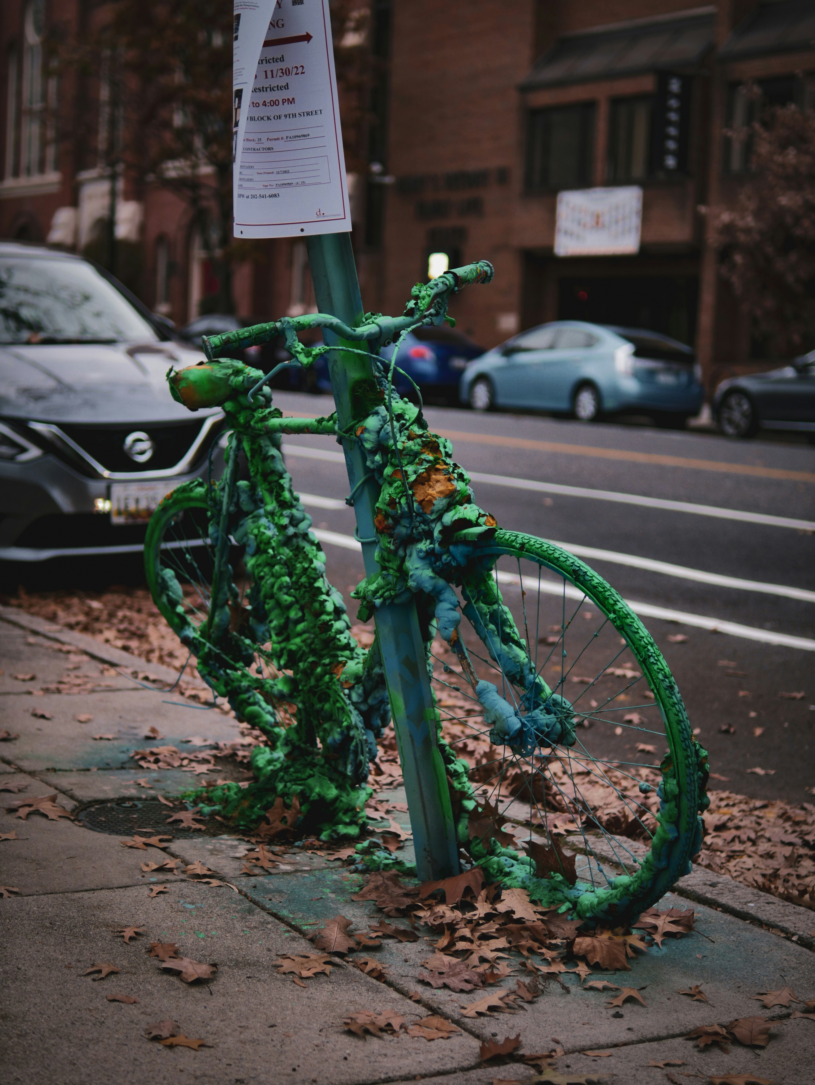 Ivy-Wreathed Urban Bicycle: A Verdant Sculpture Standing Sentinel by the Street