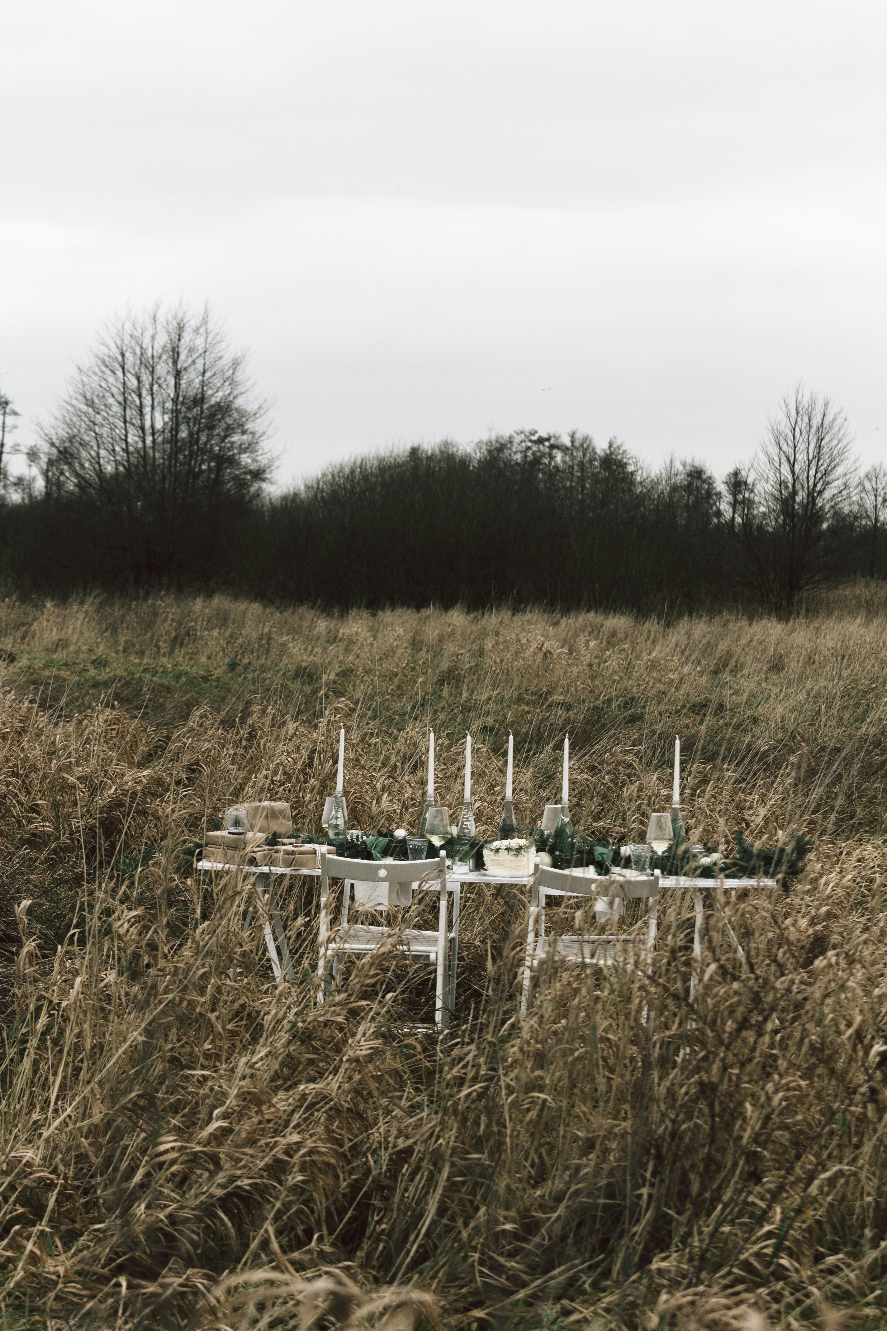 Field Table Set for the Quiet Feast