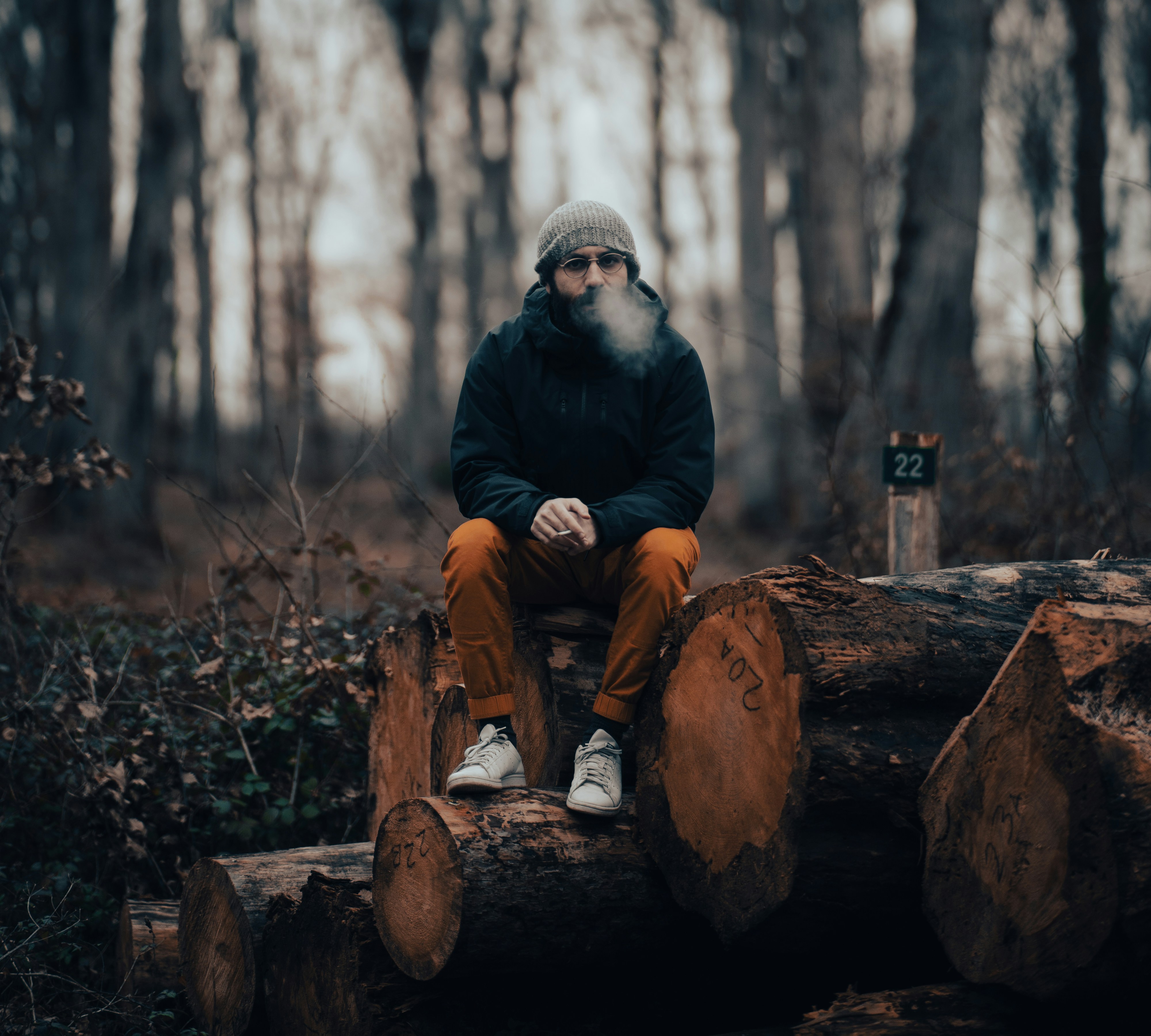 Winter Forest Quiet: A Lone Figure Resting Among Stacked Logs
