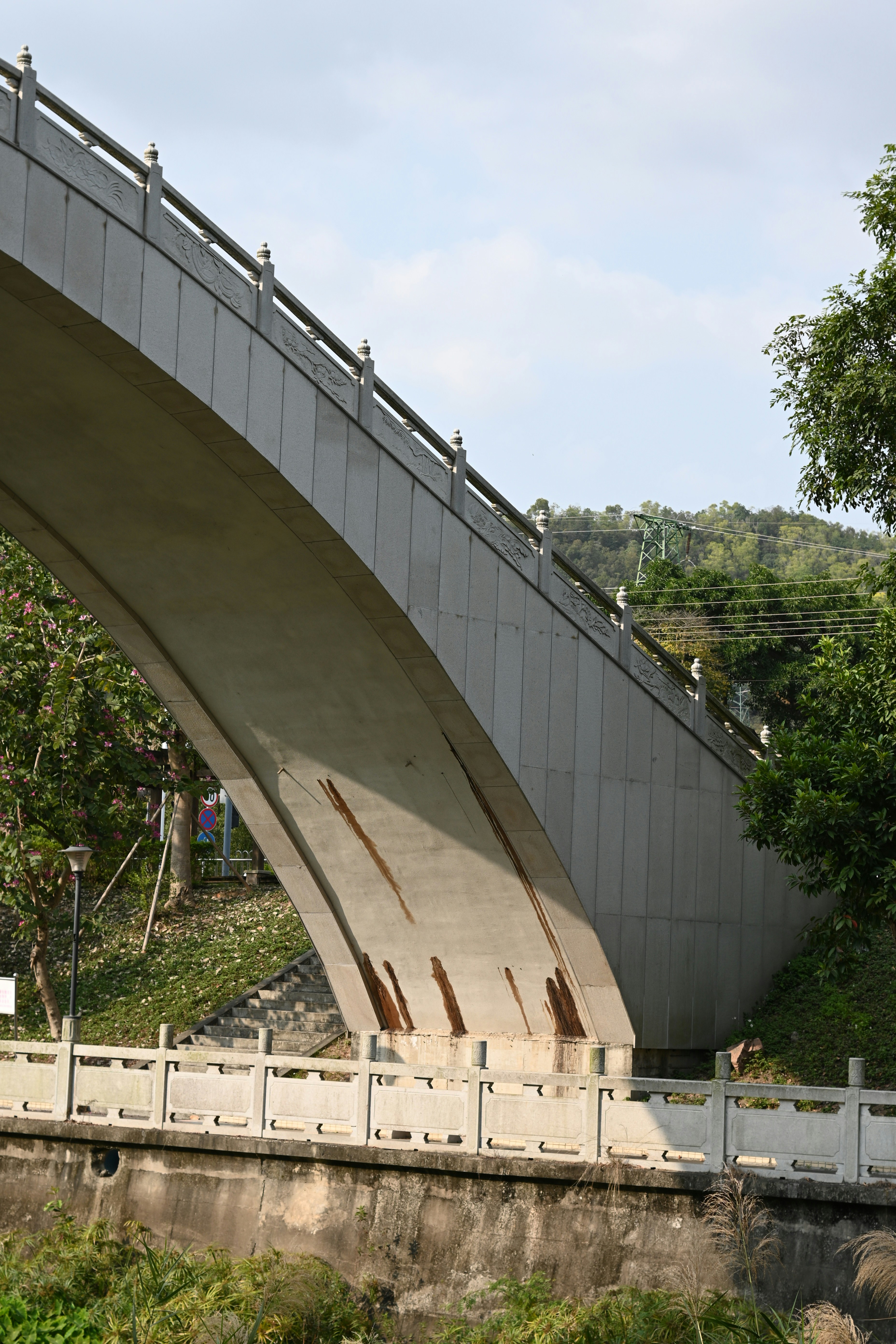 Photo by yu chen with Nikon Z30