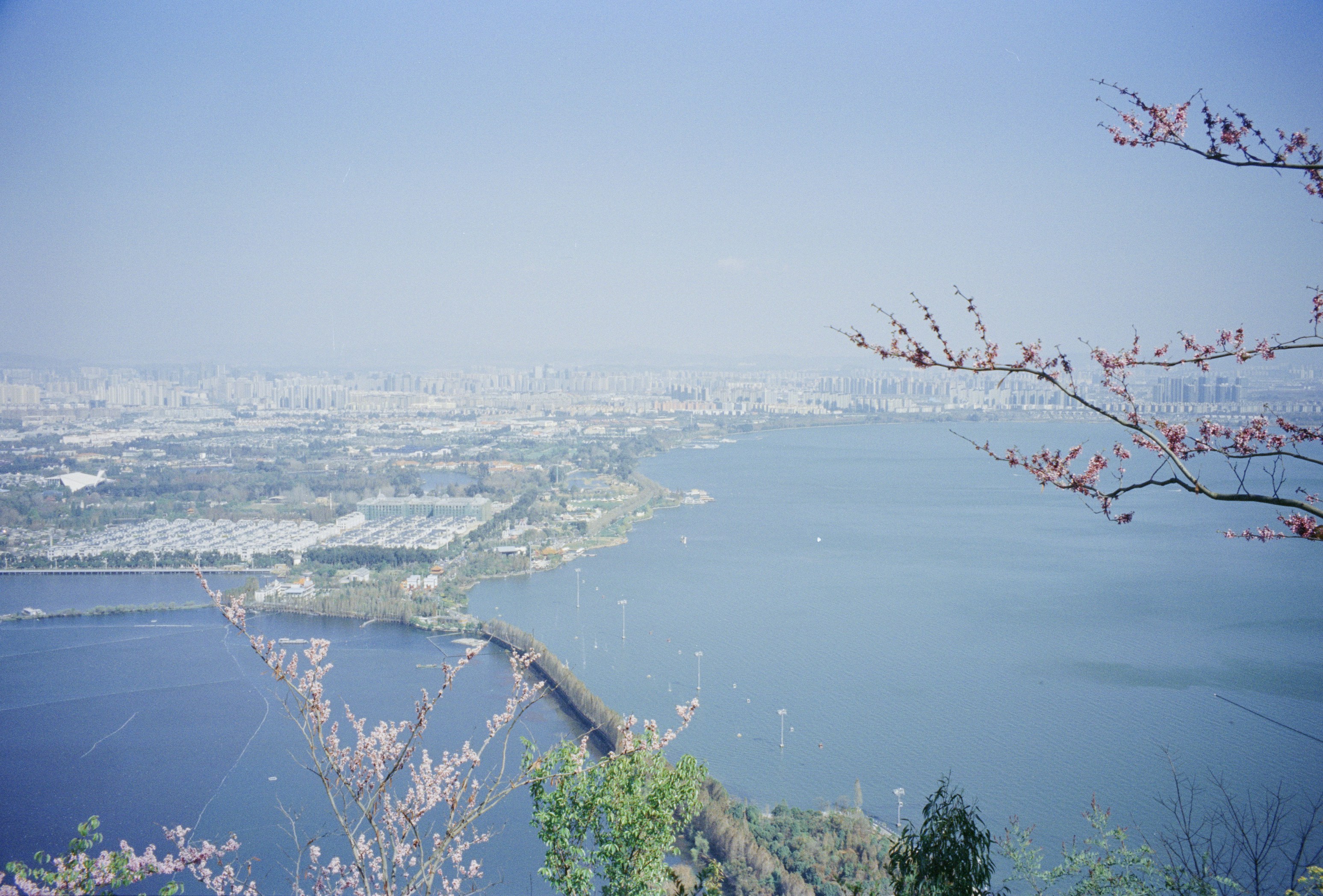 Expansive view of DianChi Lake from a vantage point on Xi Mountain, framed by delicate branches under a clear sky.