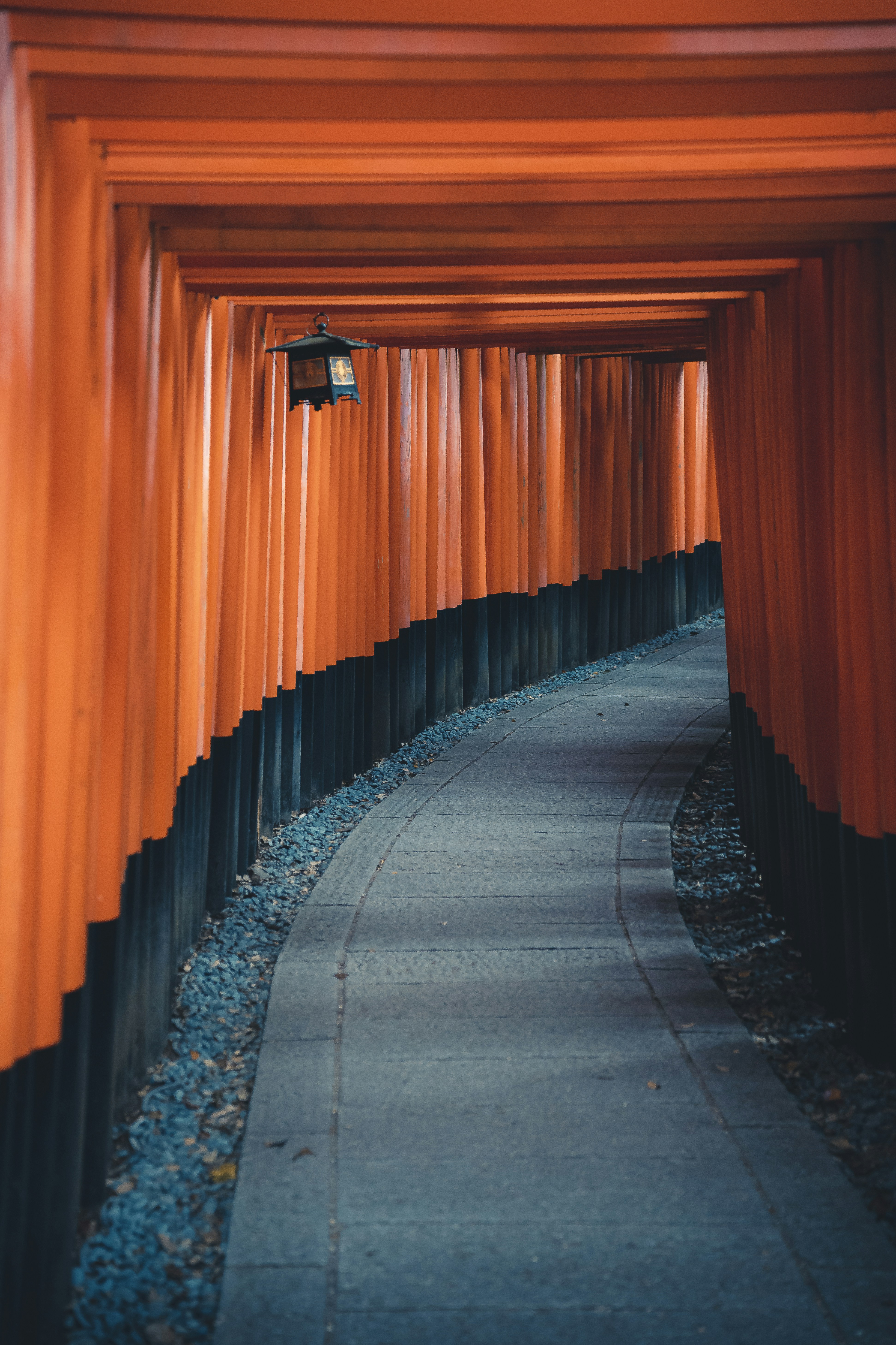 A walkway lined with orange gates leading to a light photo – Free Japan ...