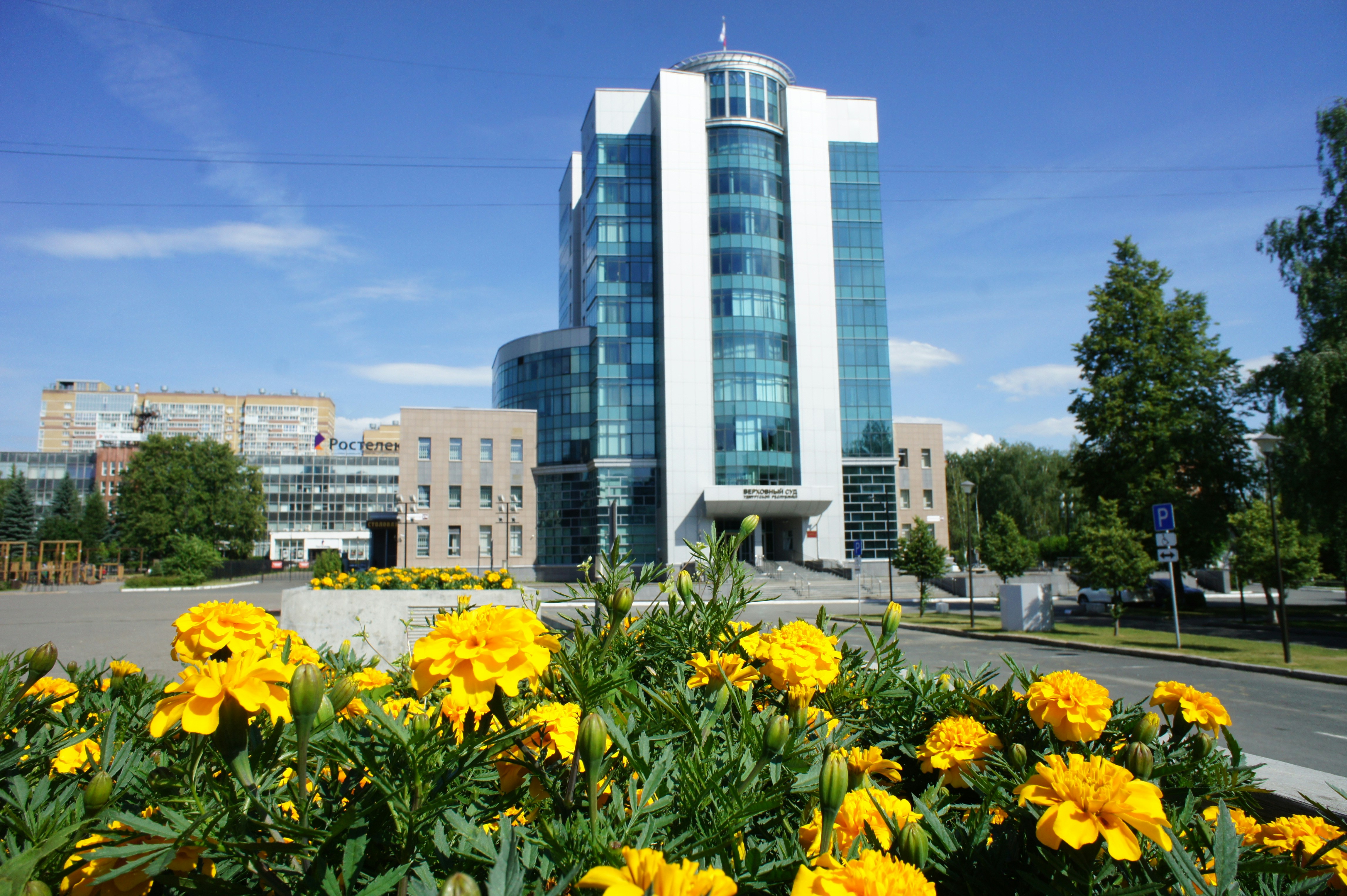 Urban Oasis: Blossoms Embracing Modern Architecture