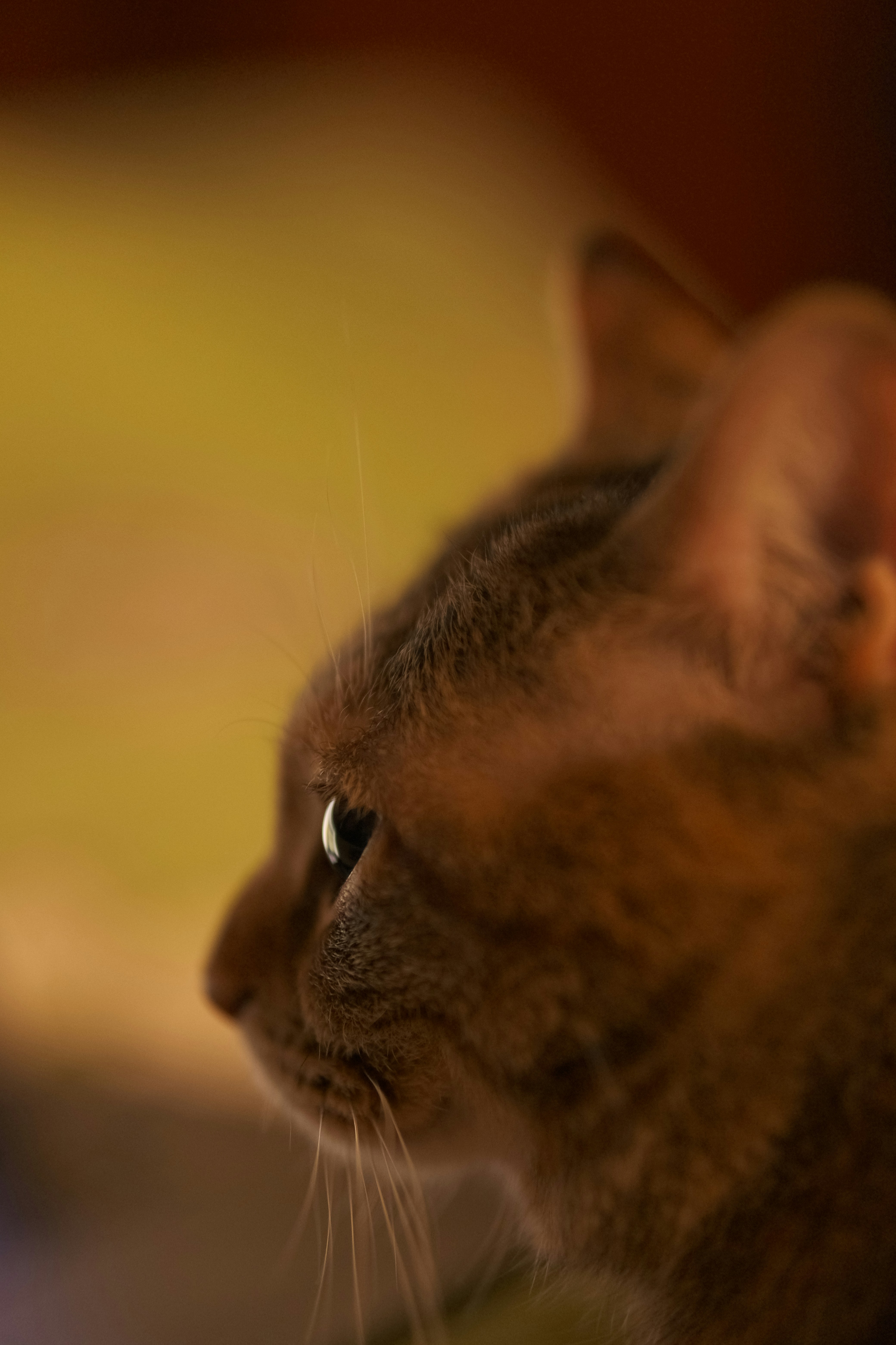 Photo by Nk Ni with Fujifilm X-T30 II