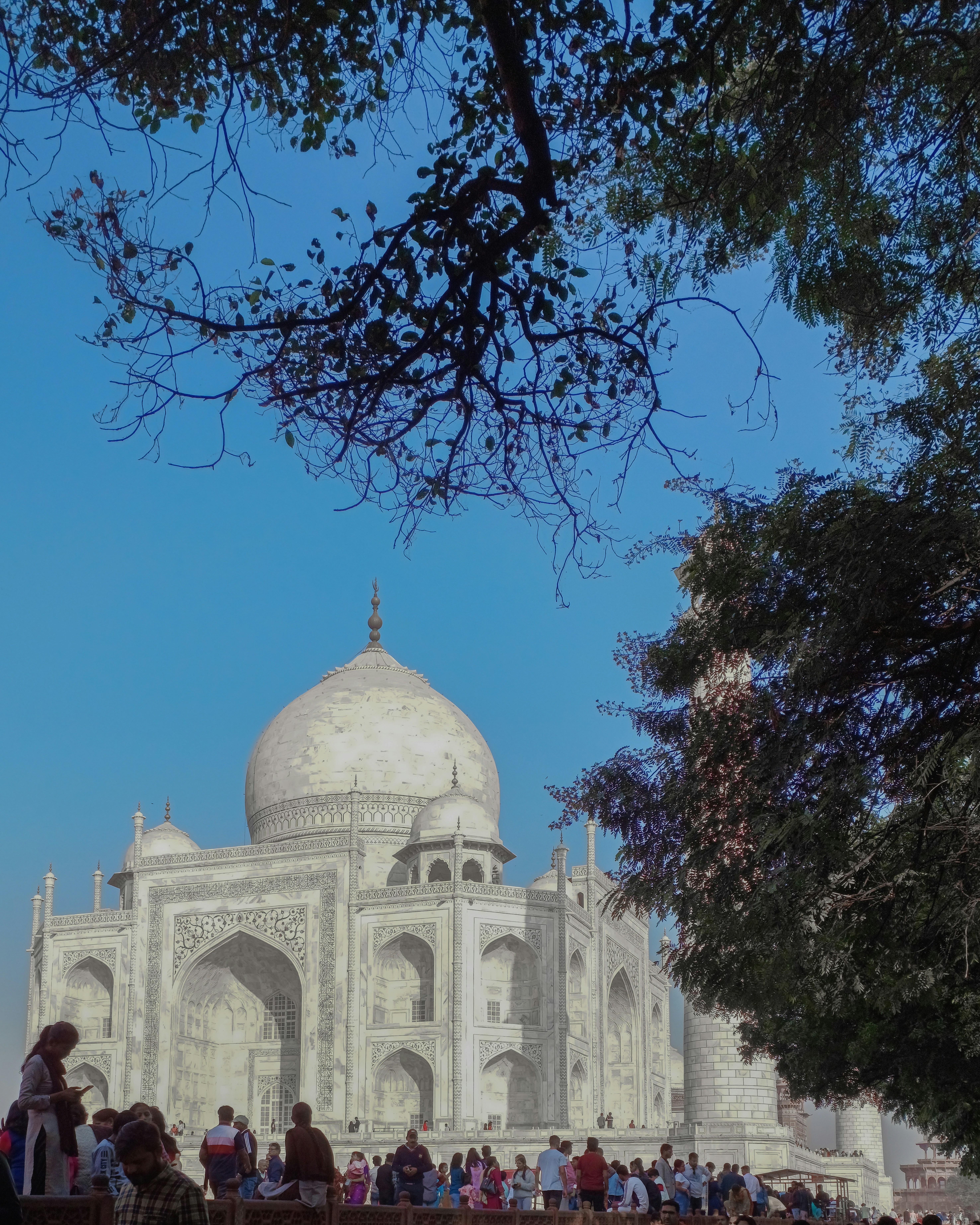 Sample photo from Samsung Galaxy M53