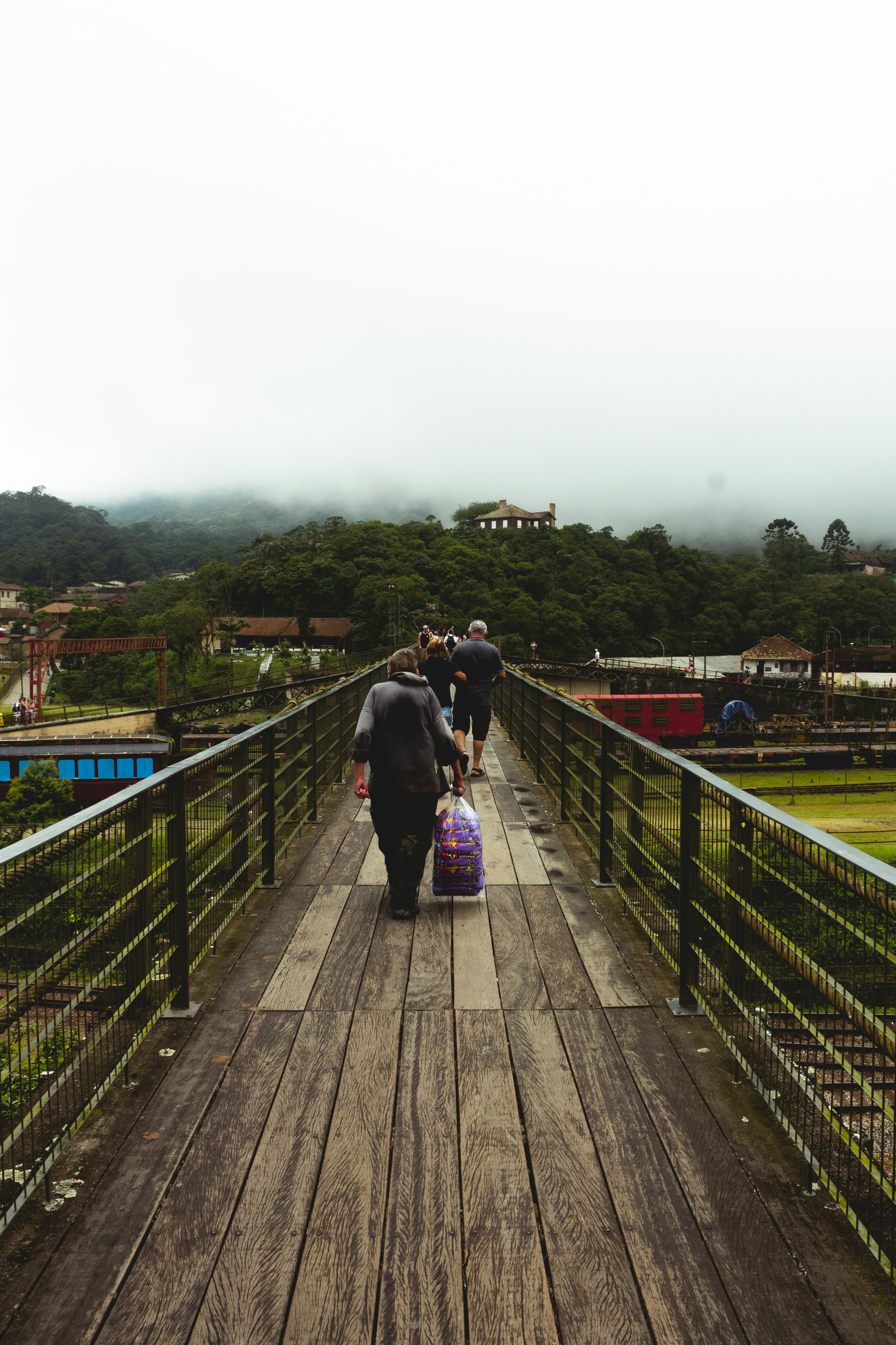 Footbridge to the Mist-Wrapped Hillside Village
