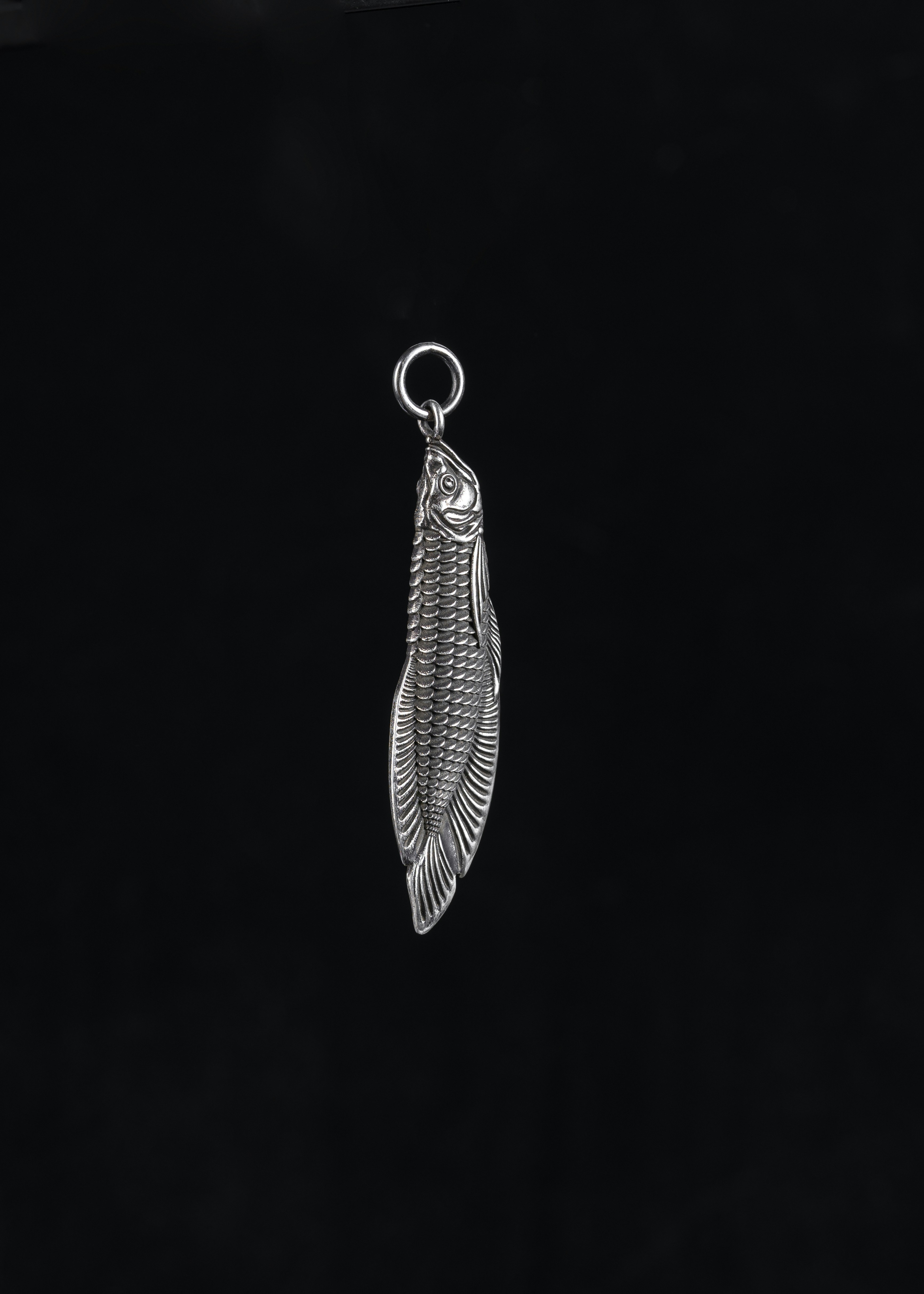 A Silver Fish Pendant Suspended in Darkness