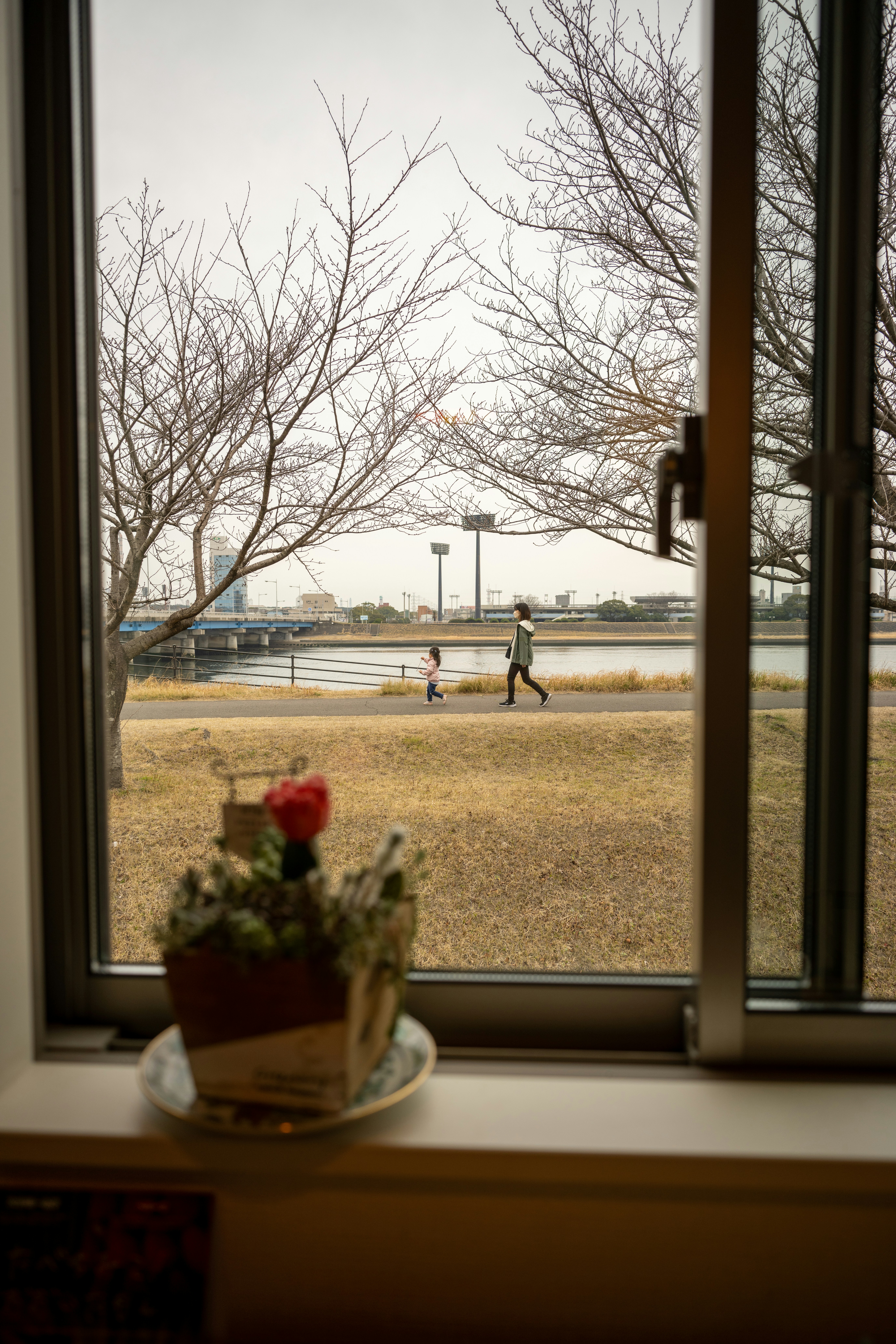 A window with a view of a person running in a field photo – Free Flower ...