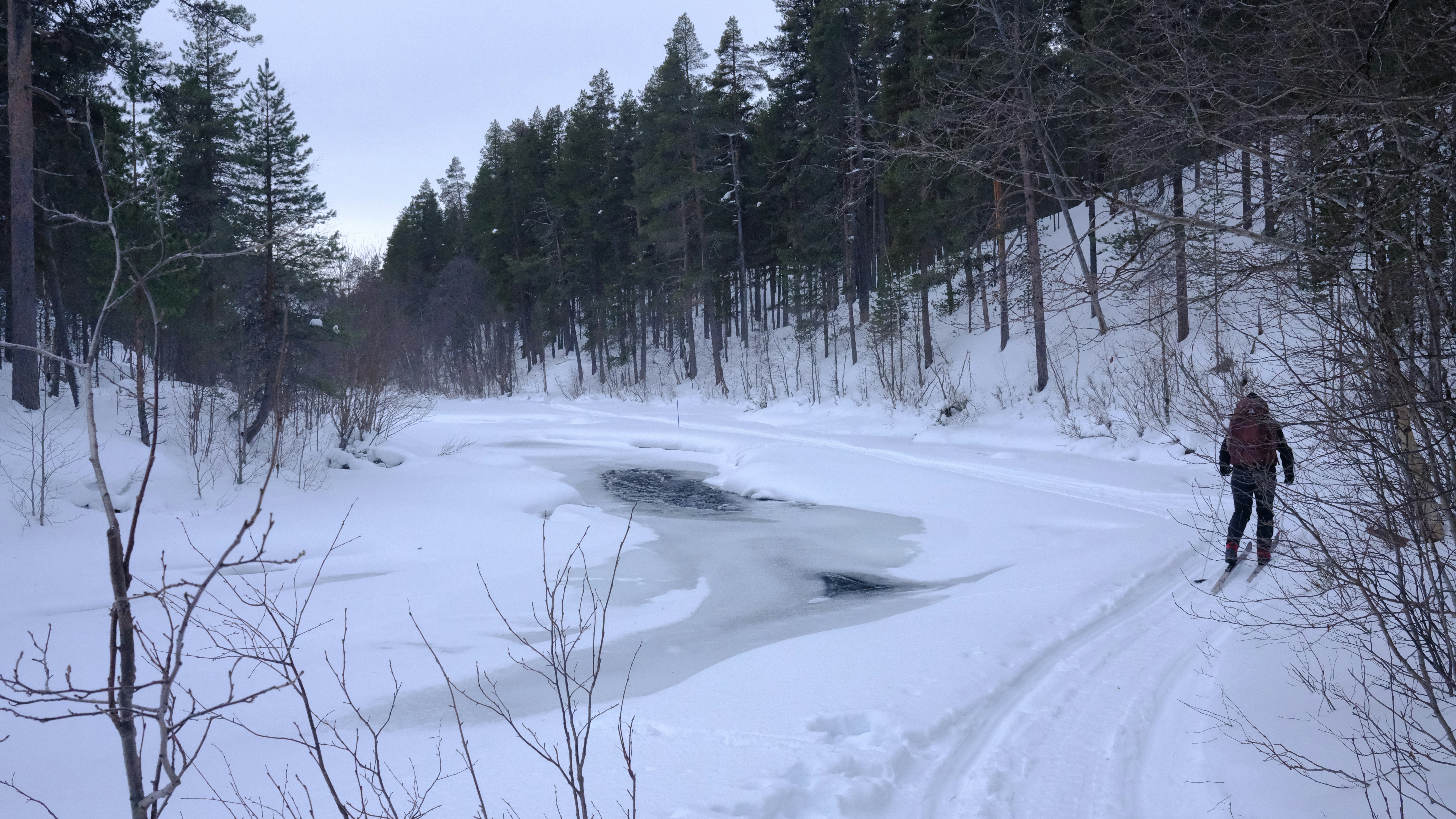 A lone skier glides along a snow-covered path beside a partially frozen river, surrounded by tall evergreen trees. The tranquil winter landscape evokes a sense of solitude.