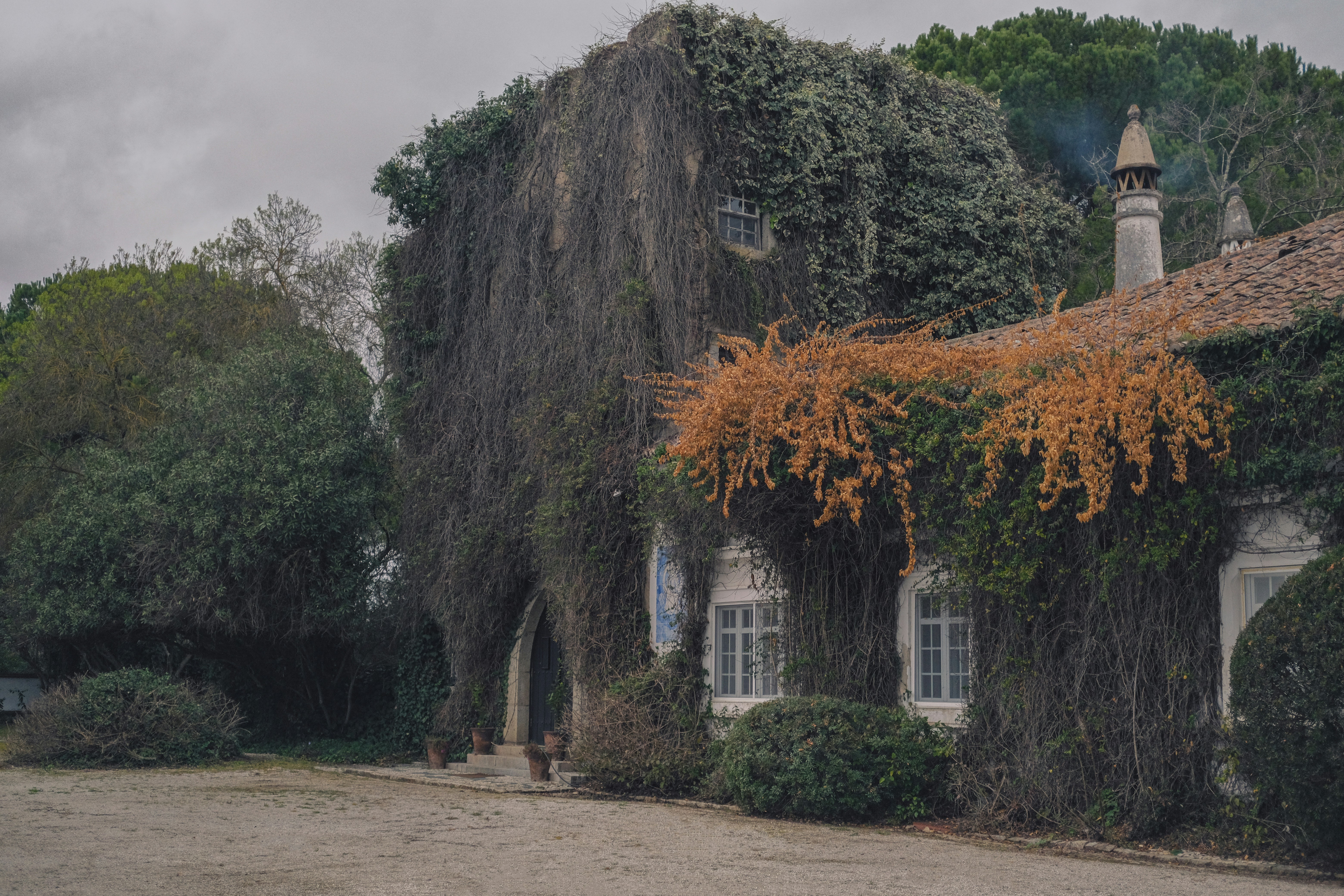 Autumn Veil over an Ivy-Clad Villa