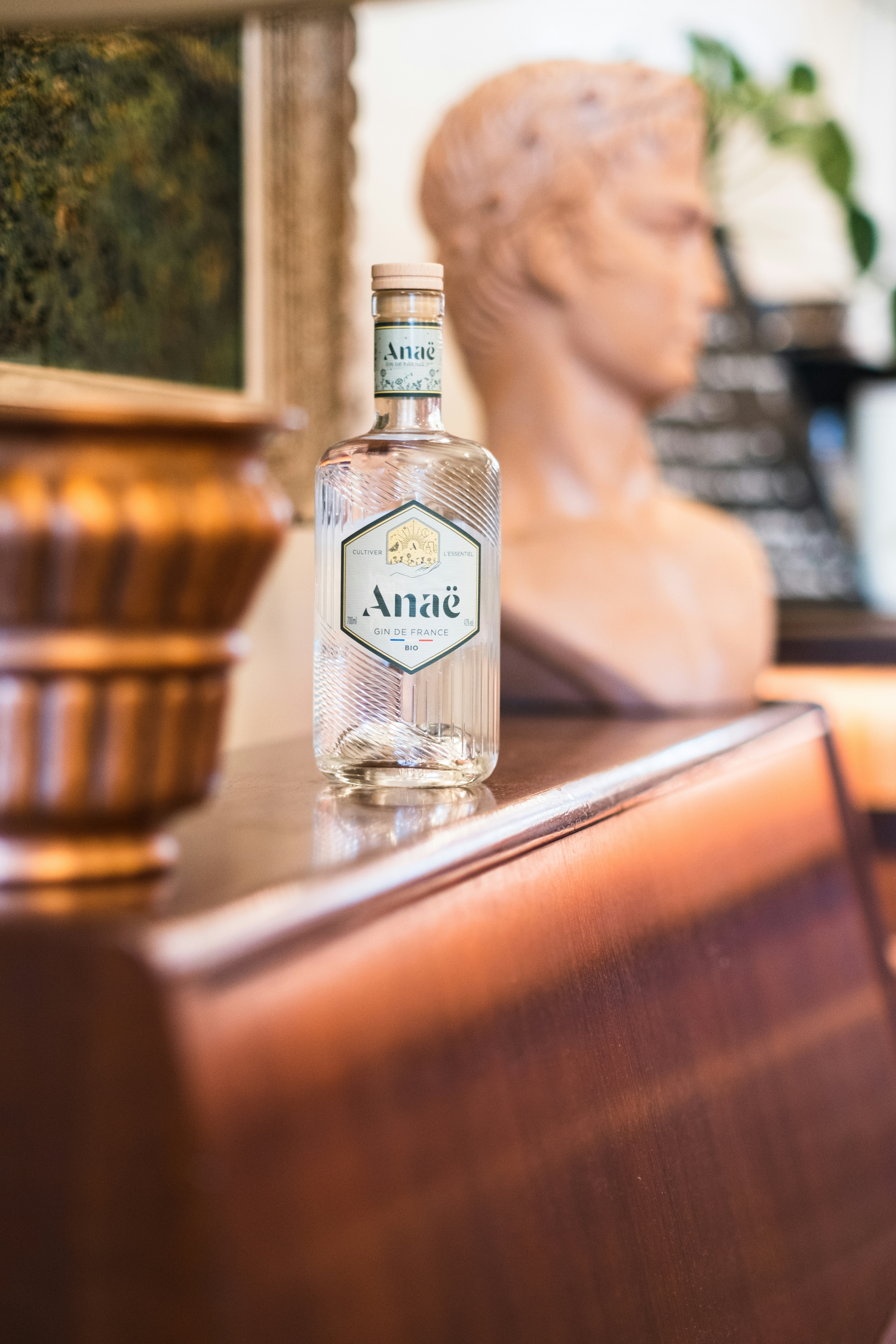 Elegance in Still Life: The Art of Anaë