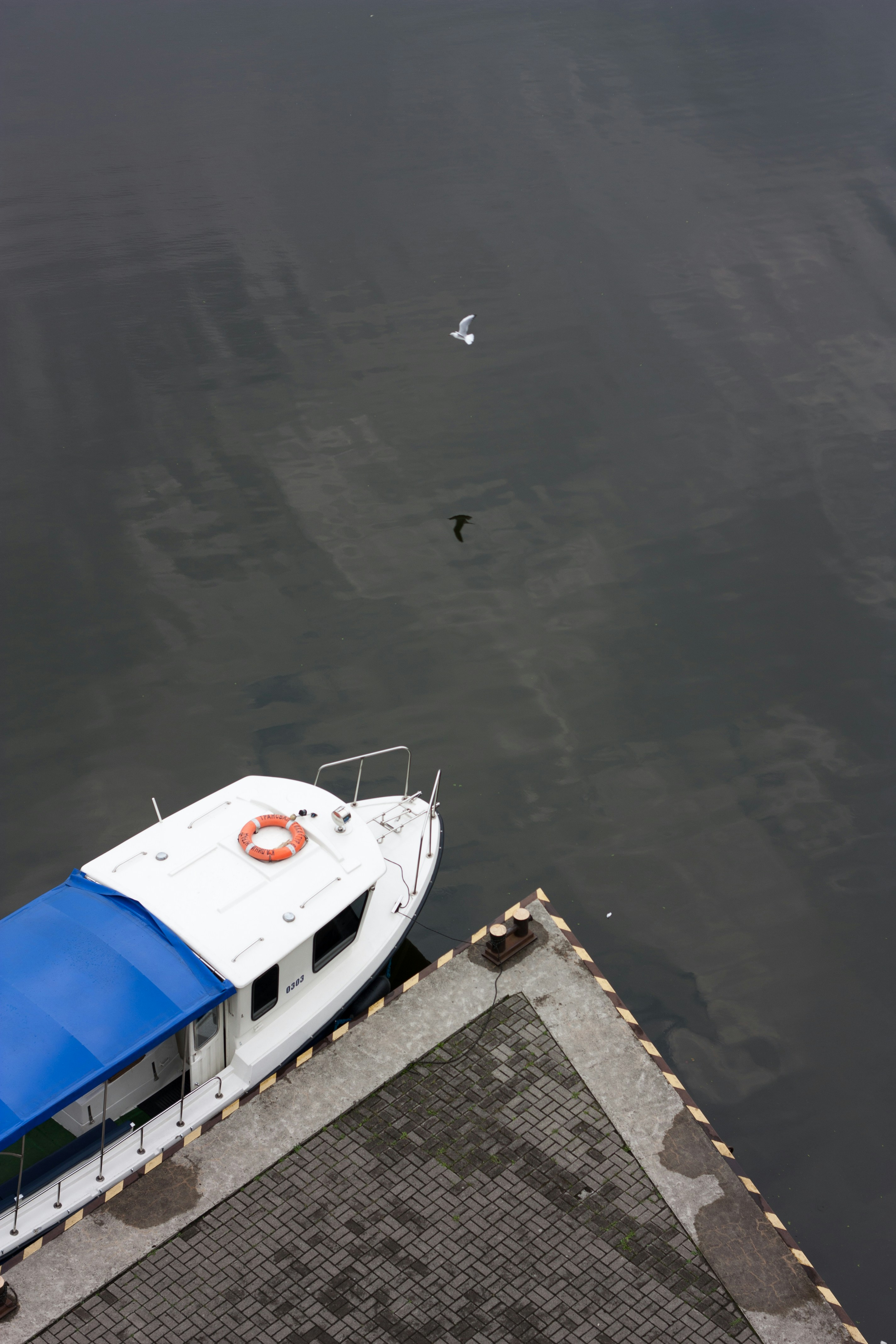 a white and blue boat sitting in the water