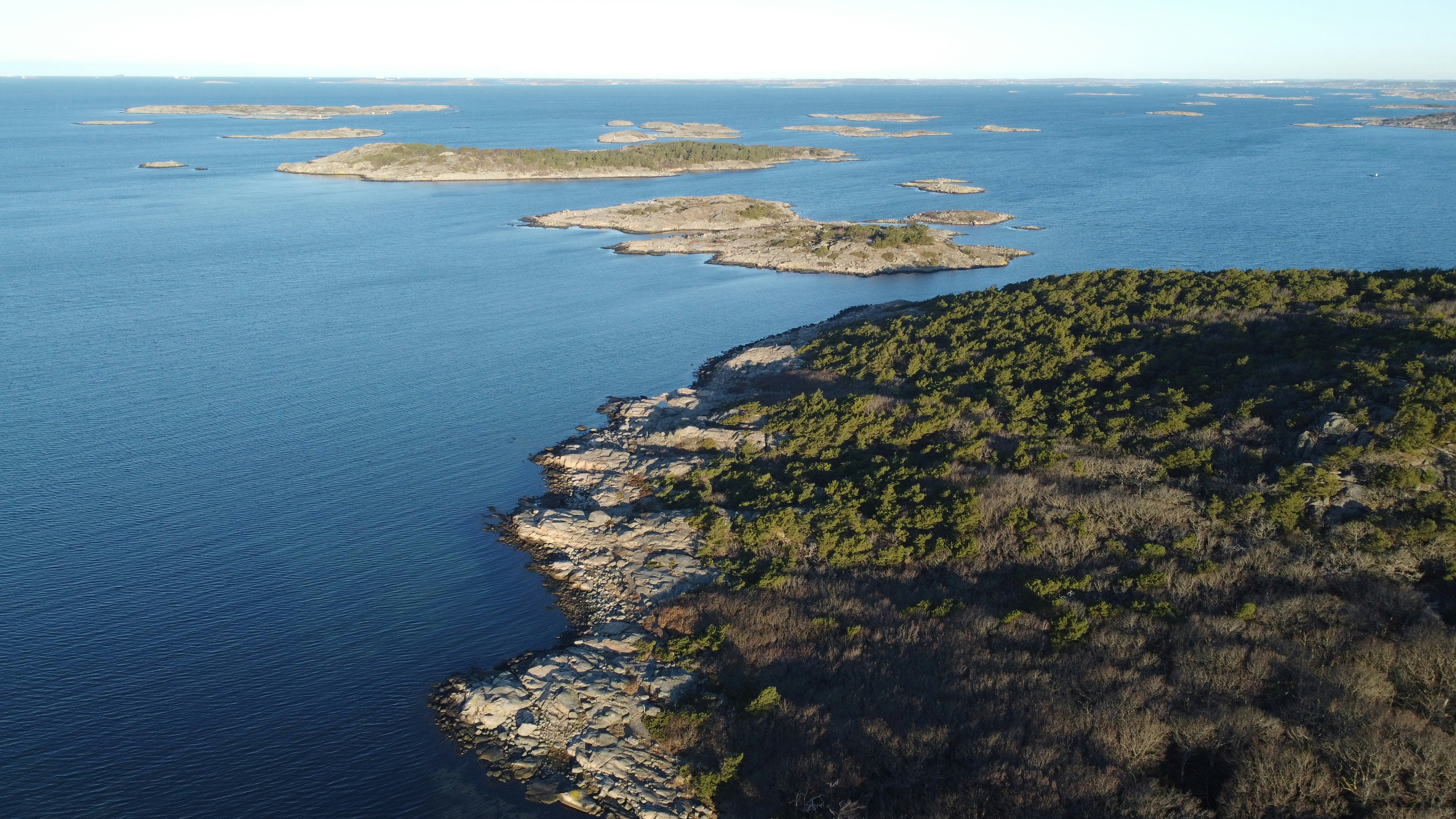 Suede Pictures | Download Free Images on Unsplash