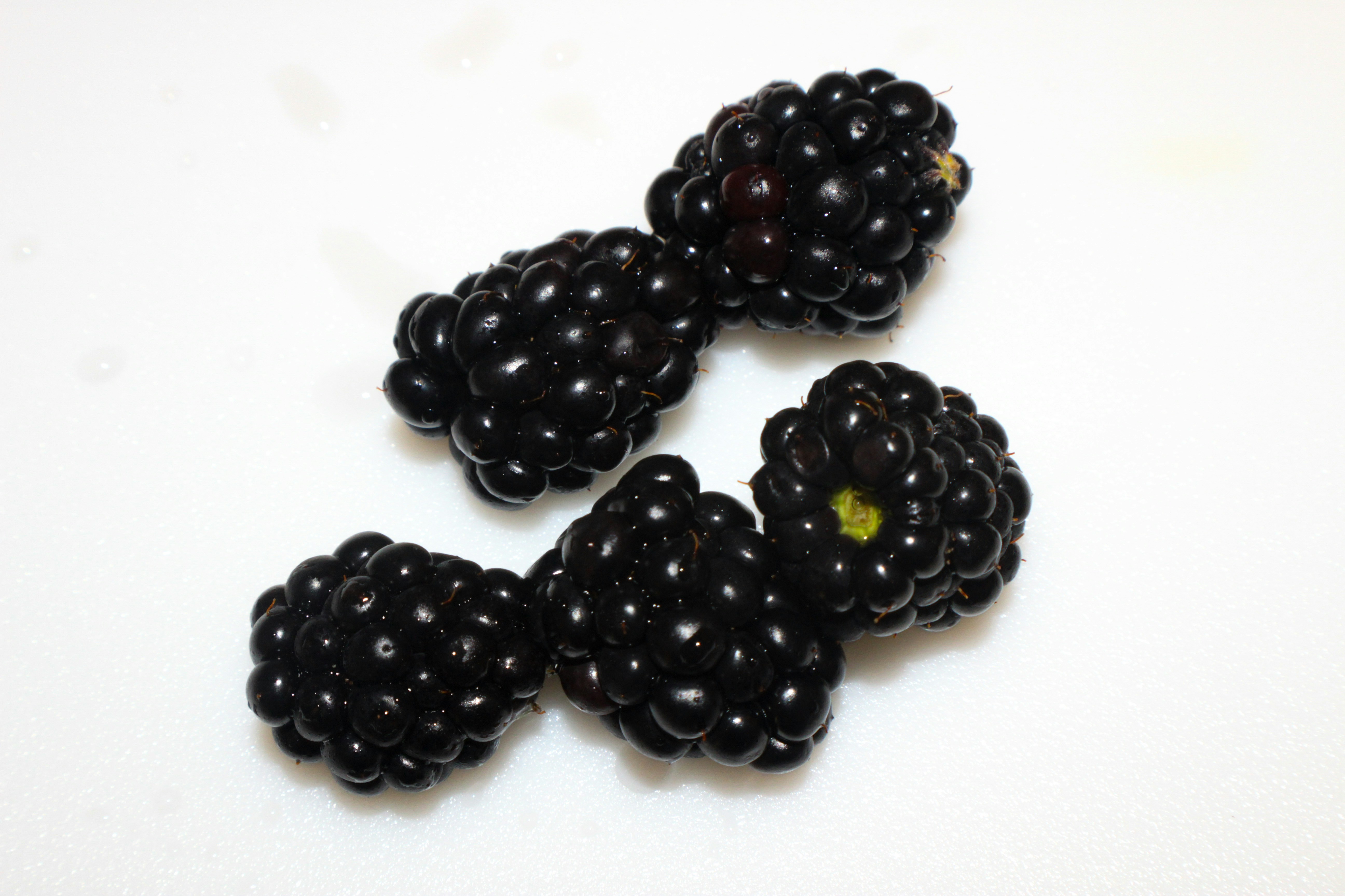 Shiny blackberries | a group of blackberries sitting on top of a white table