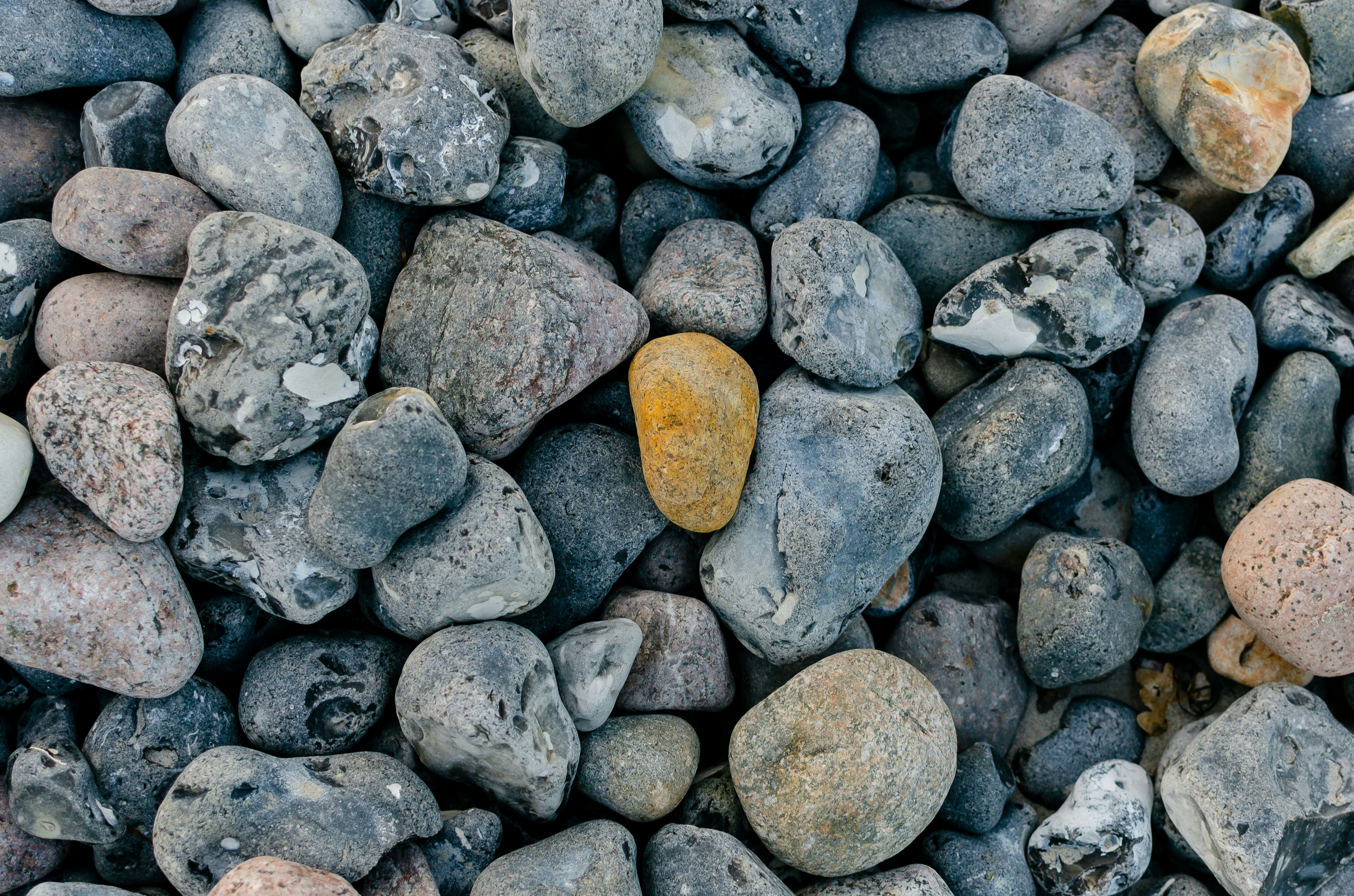 A bunch of rocks that are sitting on the ground photo – Free Rügen ...