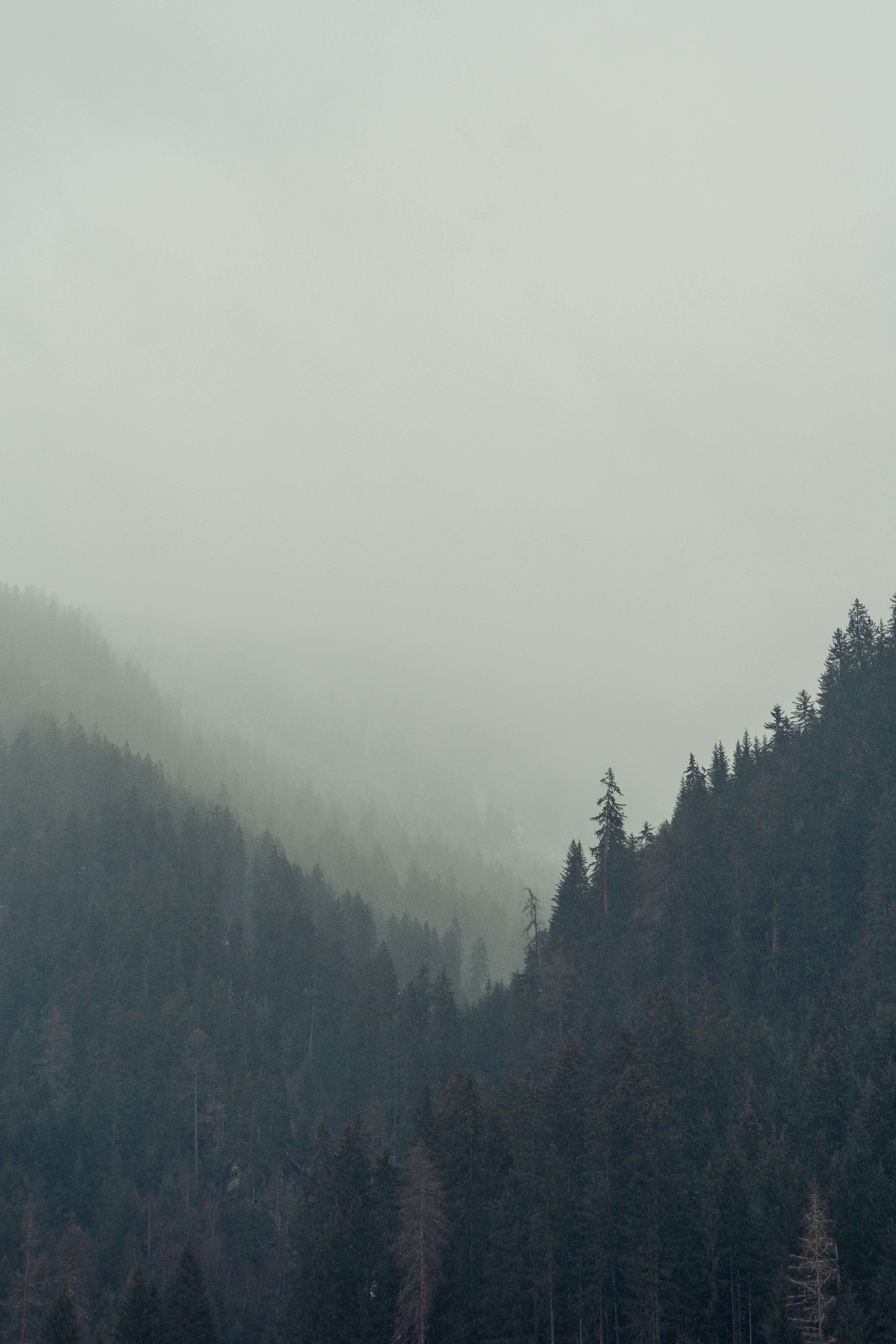 Photo by Hans Ott with Sony Alpha 7 IV